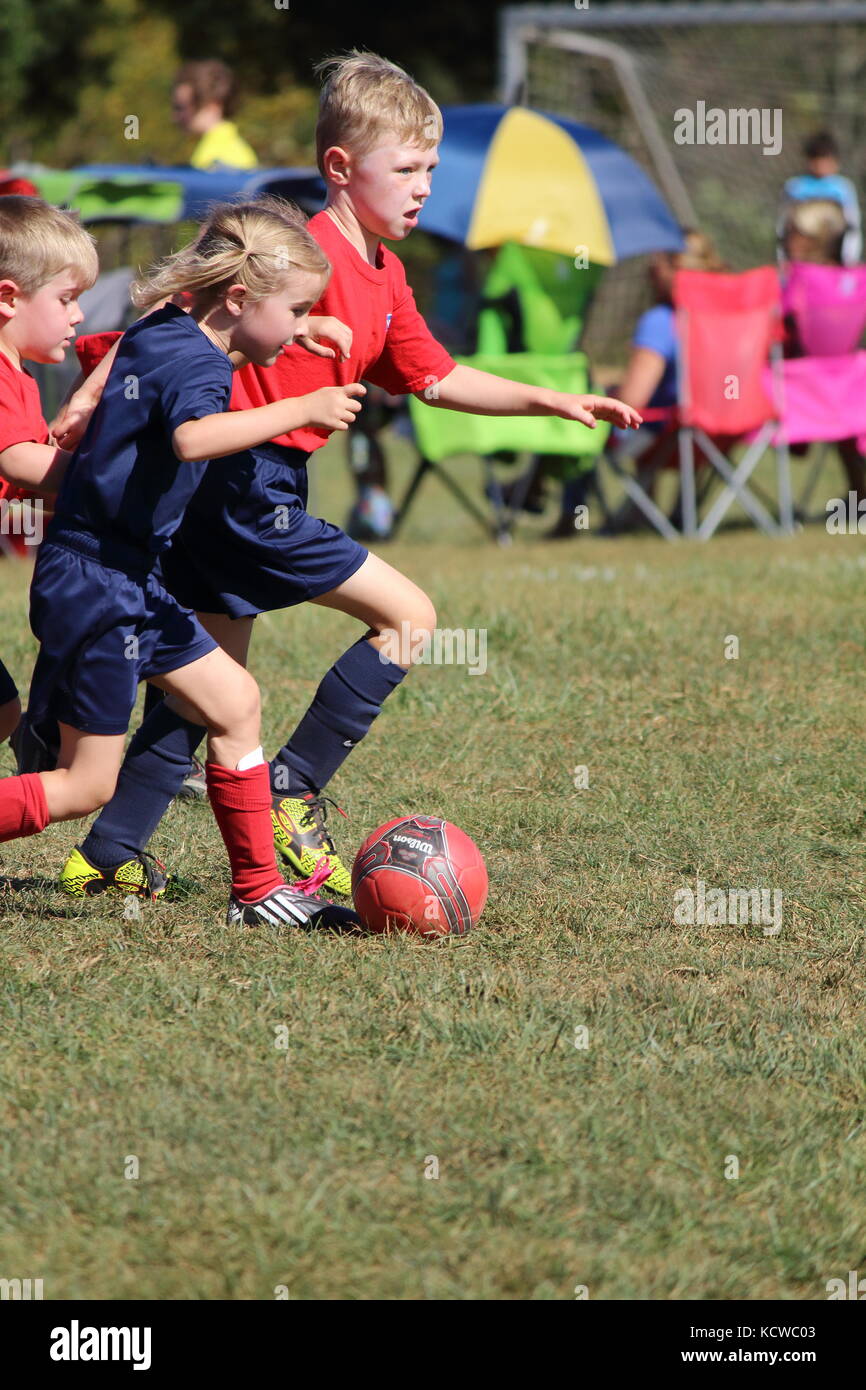 Chase children hi-res stock photography and images - Alamy