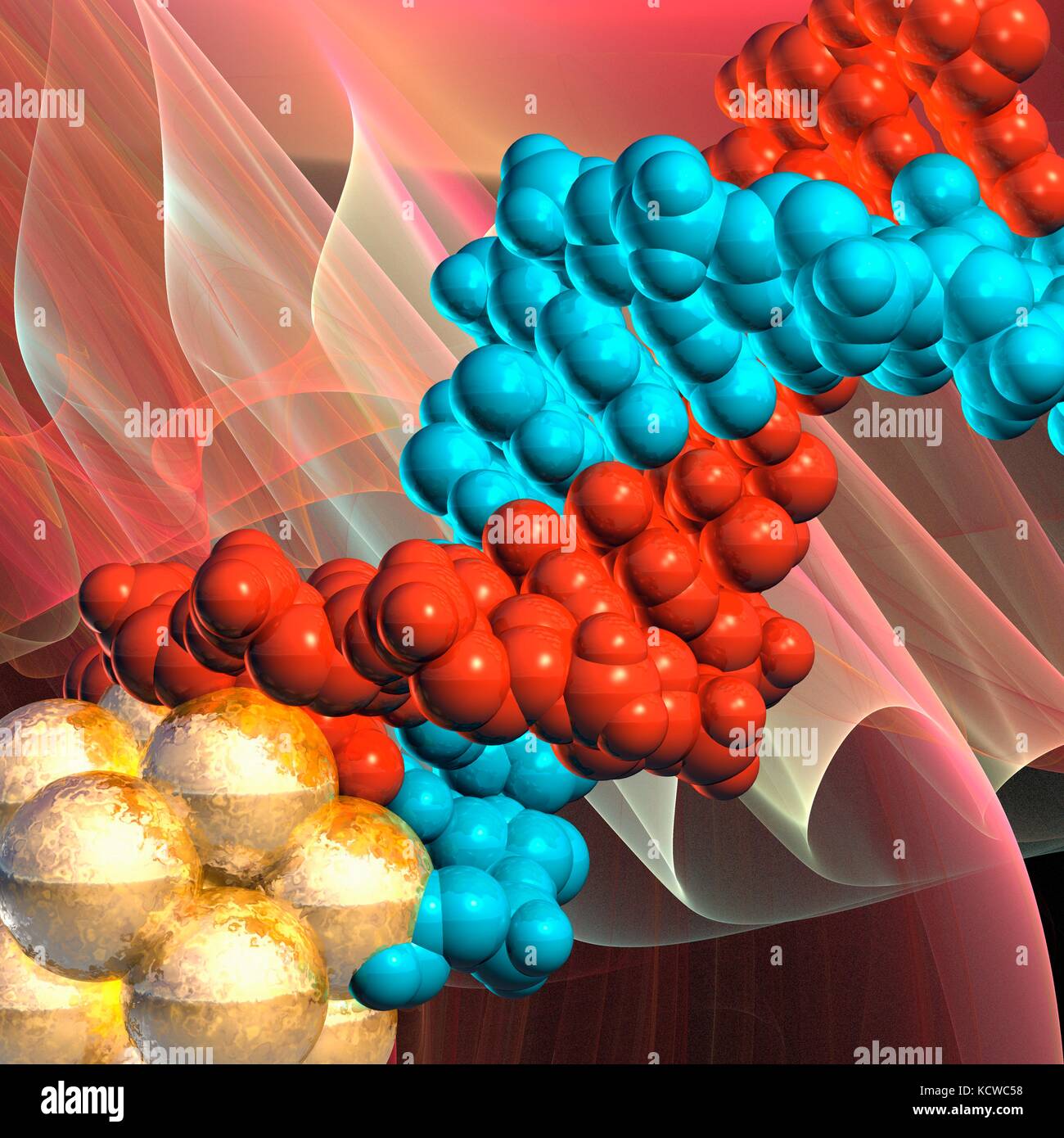 Conceptual illustration of a double stranded DNA (deoxyribonucleic acid ...