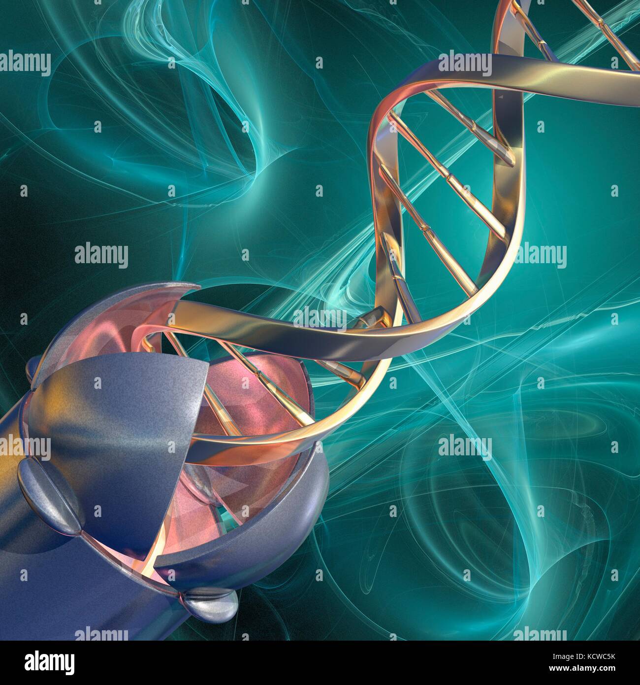 Conceptual illustration of a double stranded DNA (deoxyribonucleic acid ...