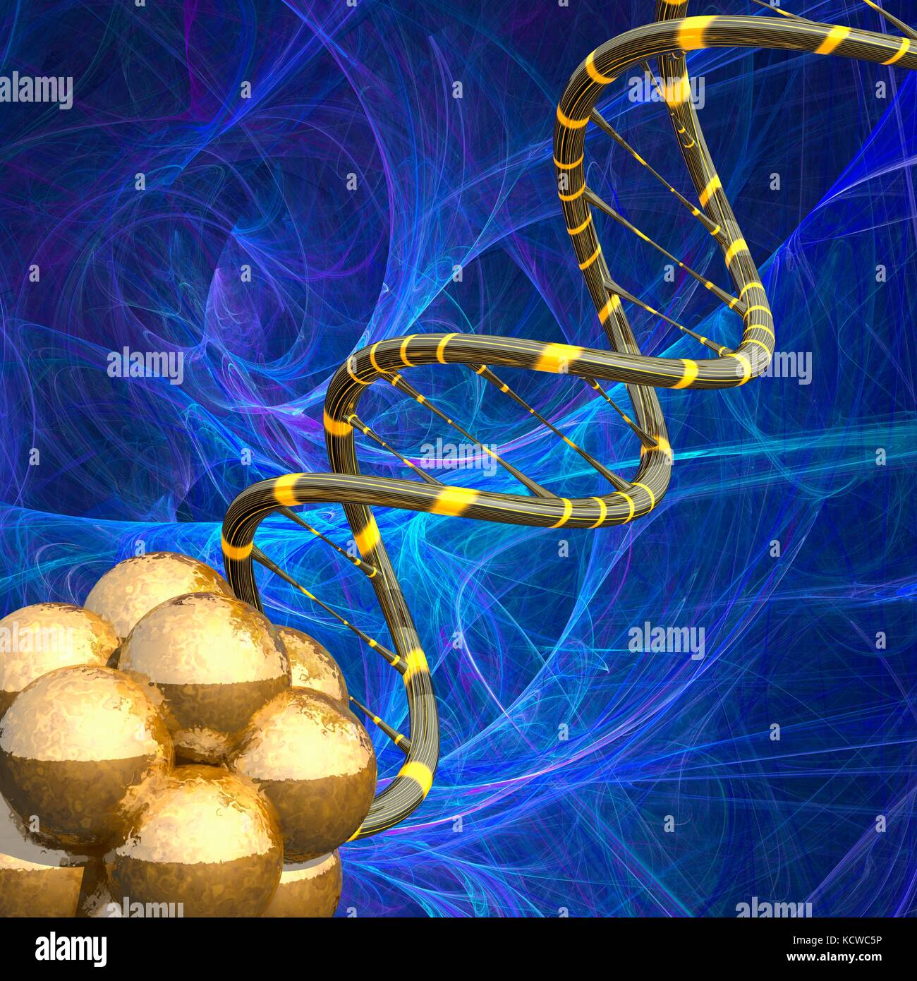 Conceptual illustration of a double stranded DNA (deoxyribonucleic acid ...