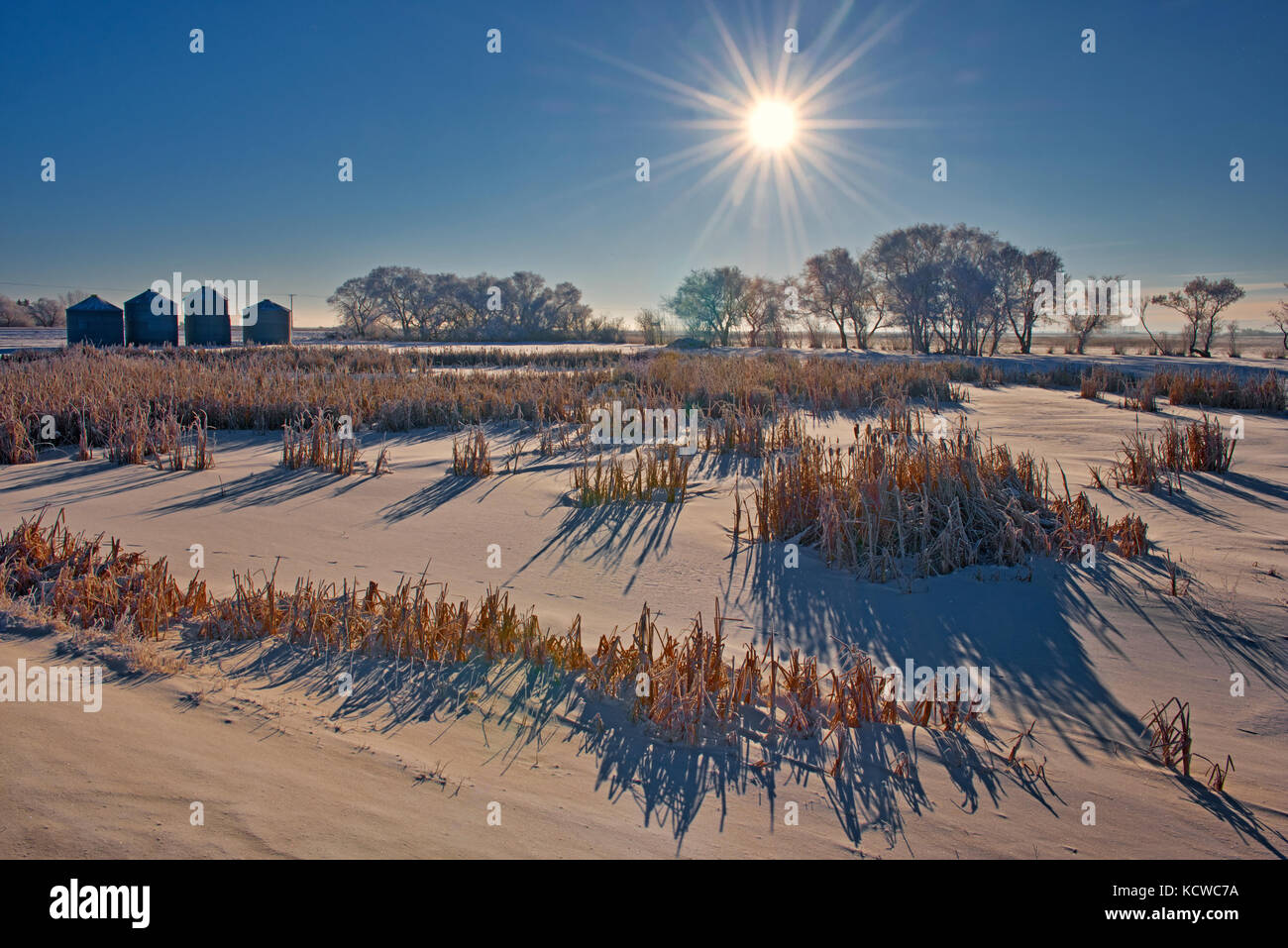 Saskatchewan Landscape