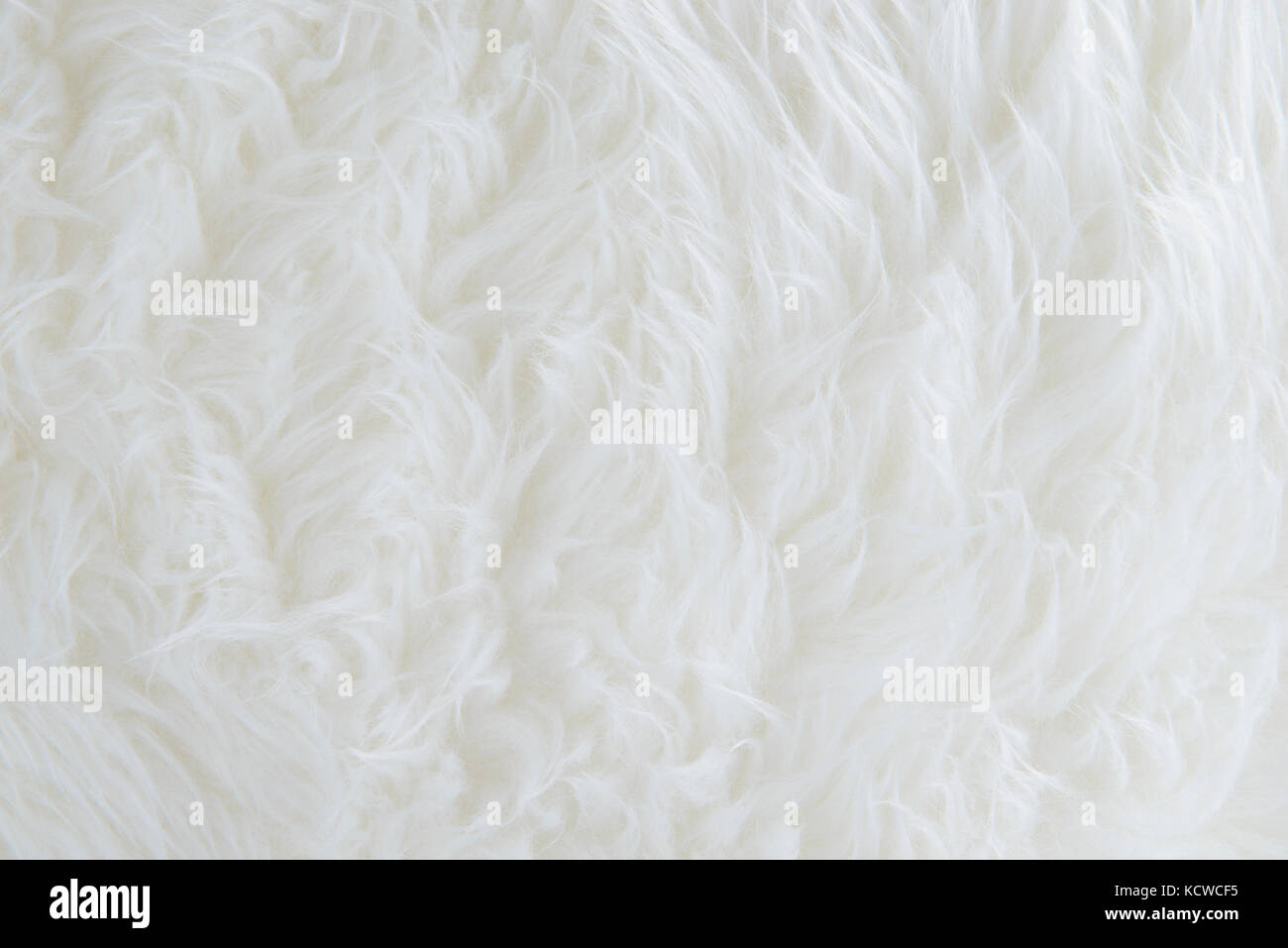 White wool texture background Stock Photo - Alamy