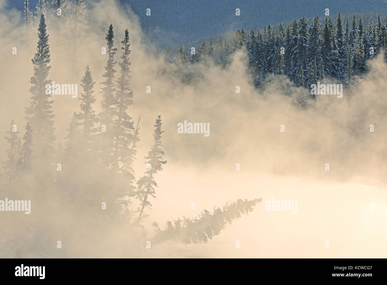 Morning fog on the Bow River at Castle Junction, Banff National Park ...