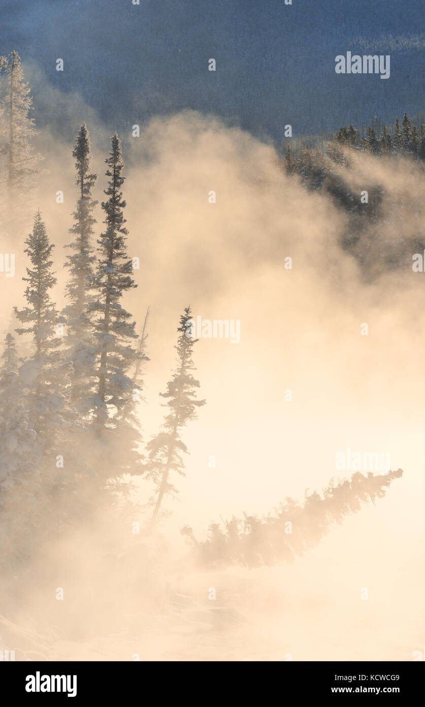 Fog rising over the Bow River st sunrise. Castle Junction, Banff ...