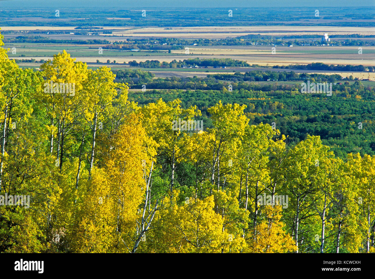 Deciduous forest in autumn overlooking farmland, Riding Mountain ...