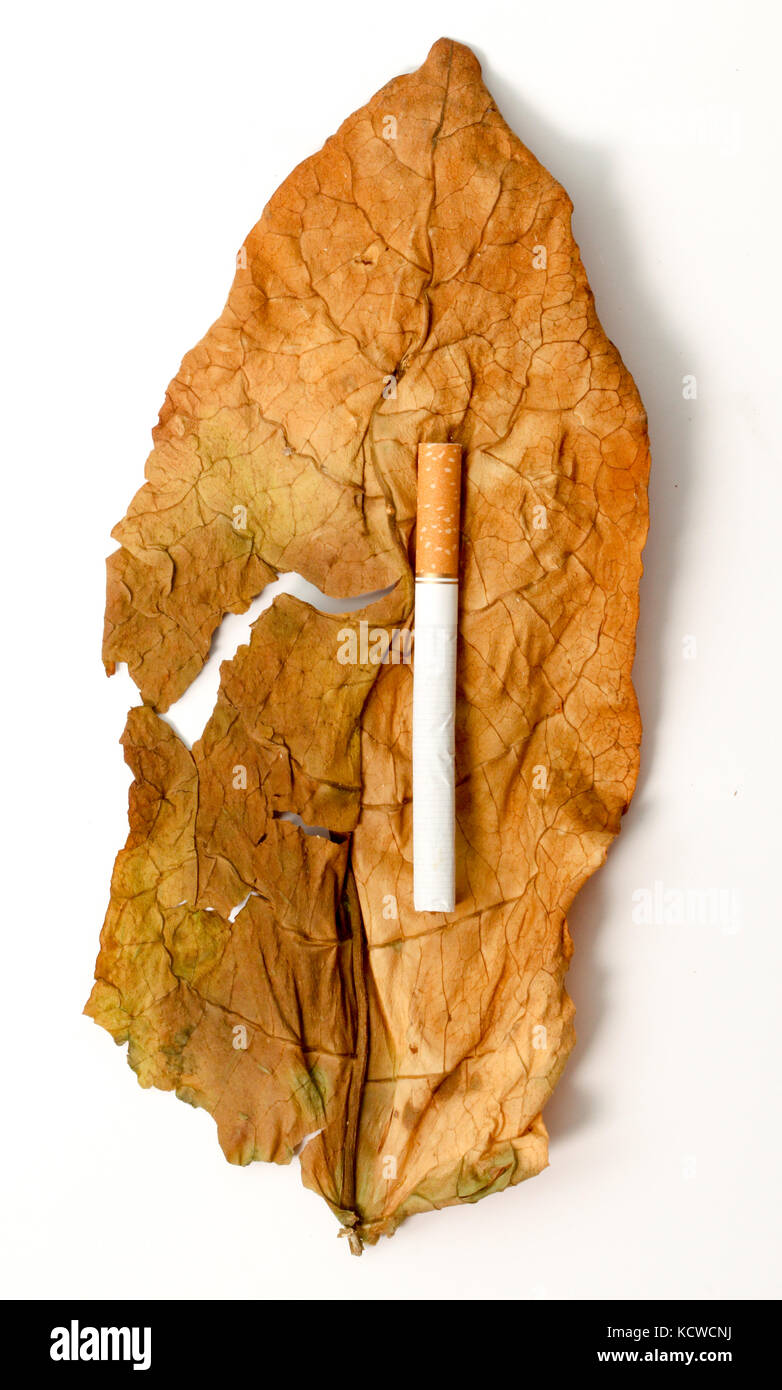 picture of a smoking issues, tobacco and nicotine addiction , health ...