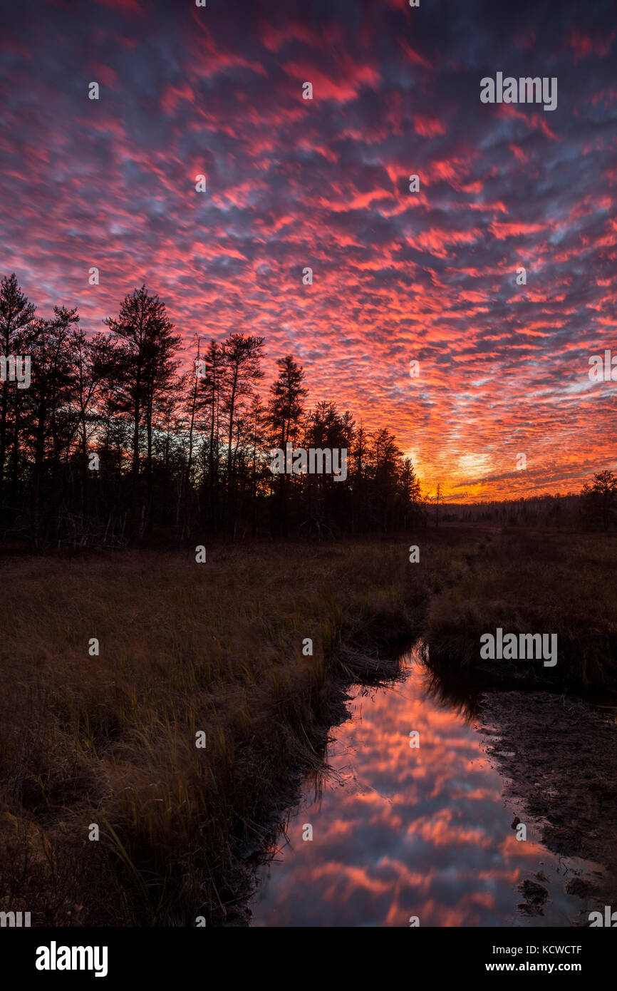 Vertical sunset backdrop hi-res stock photography and images - Alamy