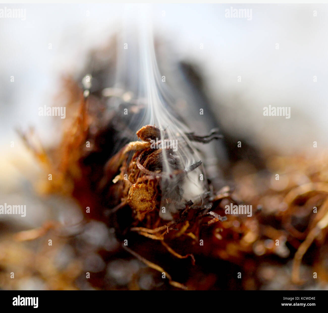 picture of a smoking issues, tobacco and nicotine addiction , health ...