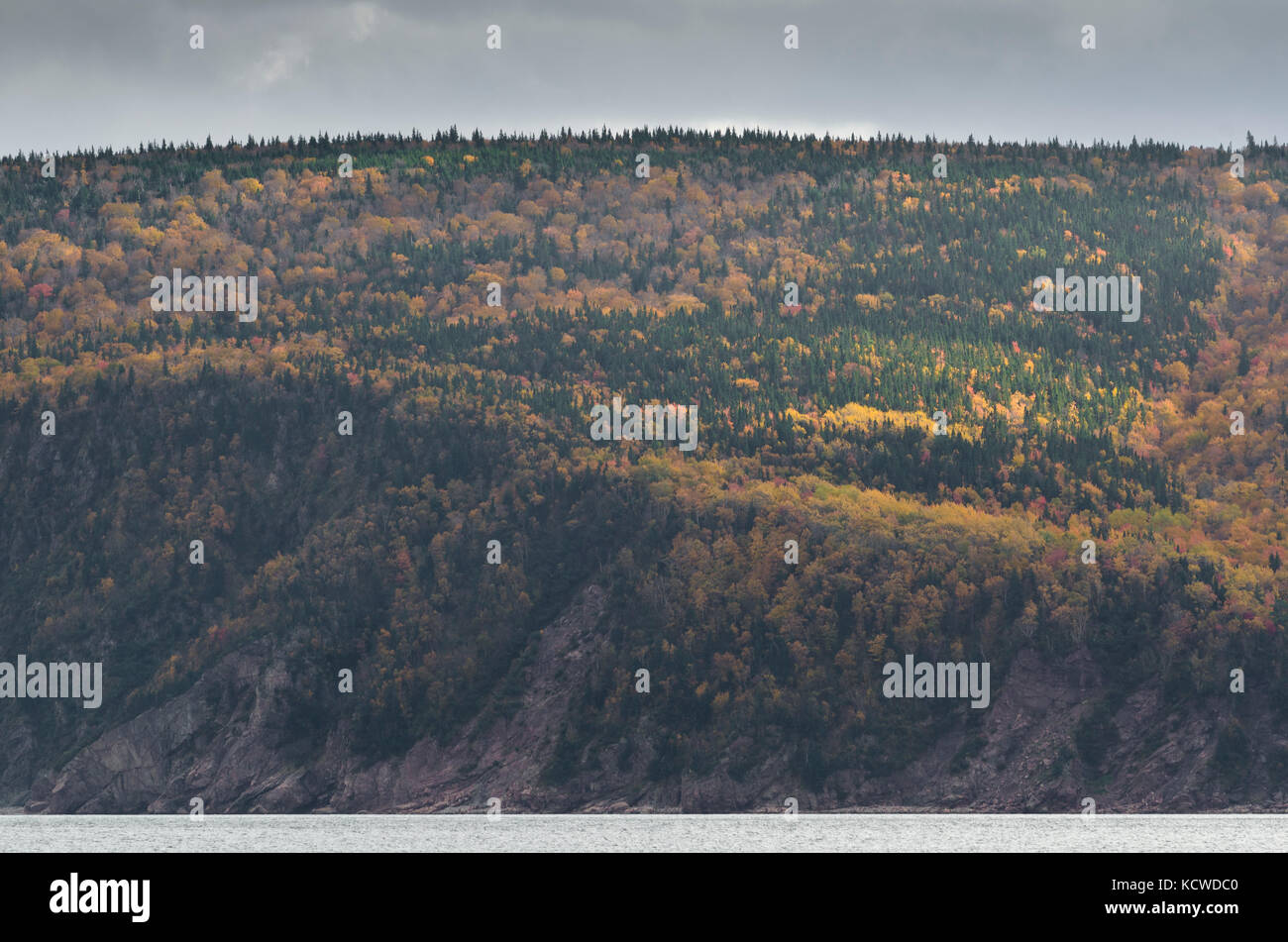 cliffs, forest, fall, autumn, Cape Breton Island, Nova Scotia, Canada ...