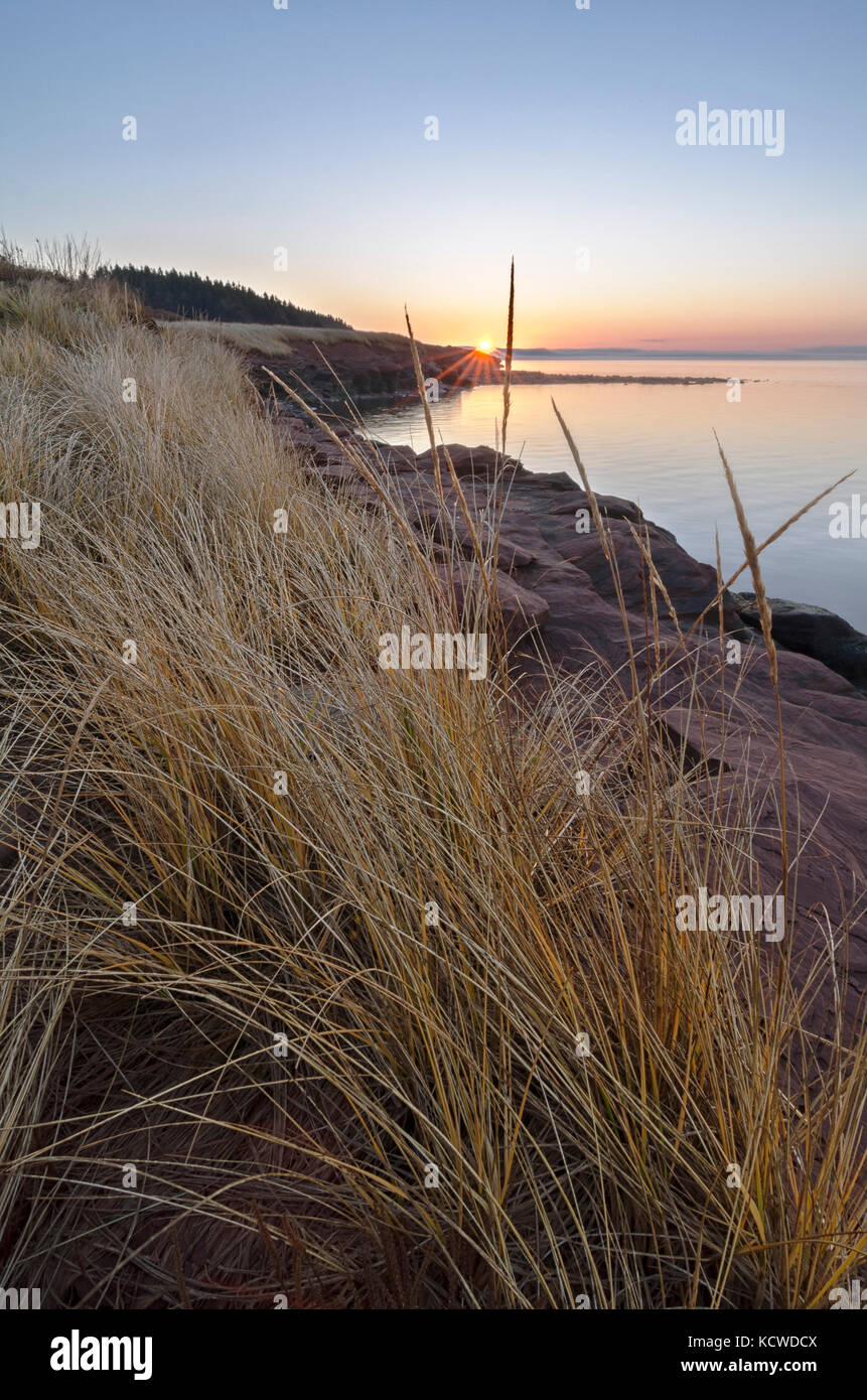 Rice point, coast, cliffs, sandstone, sunrise, fall, autumn, Prince ...