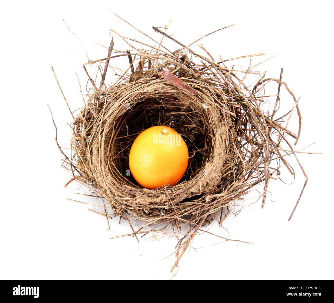 Juicy yellow lemon in a bird nest on a white background isolated,health ...