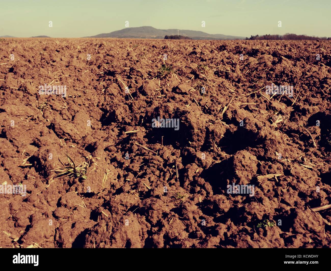 Dry dusty clay on the field. Empty plowed field waits for sowing. Dust ...
