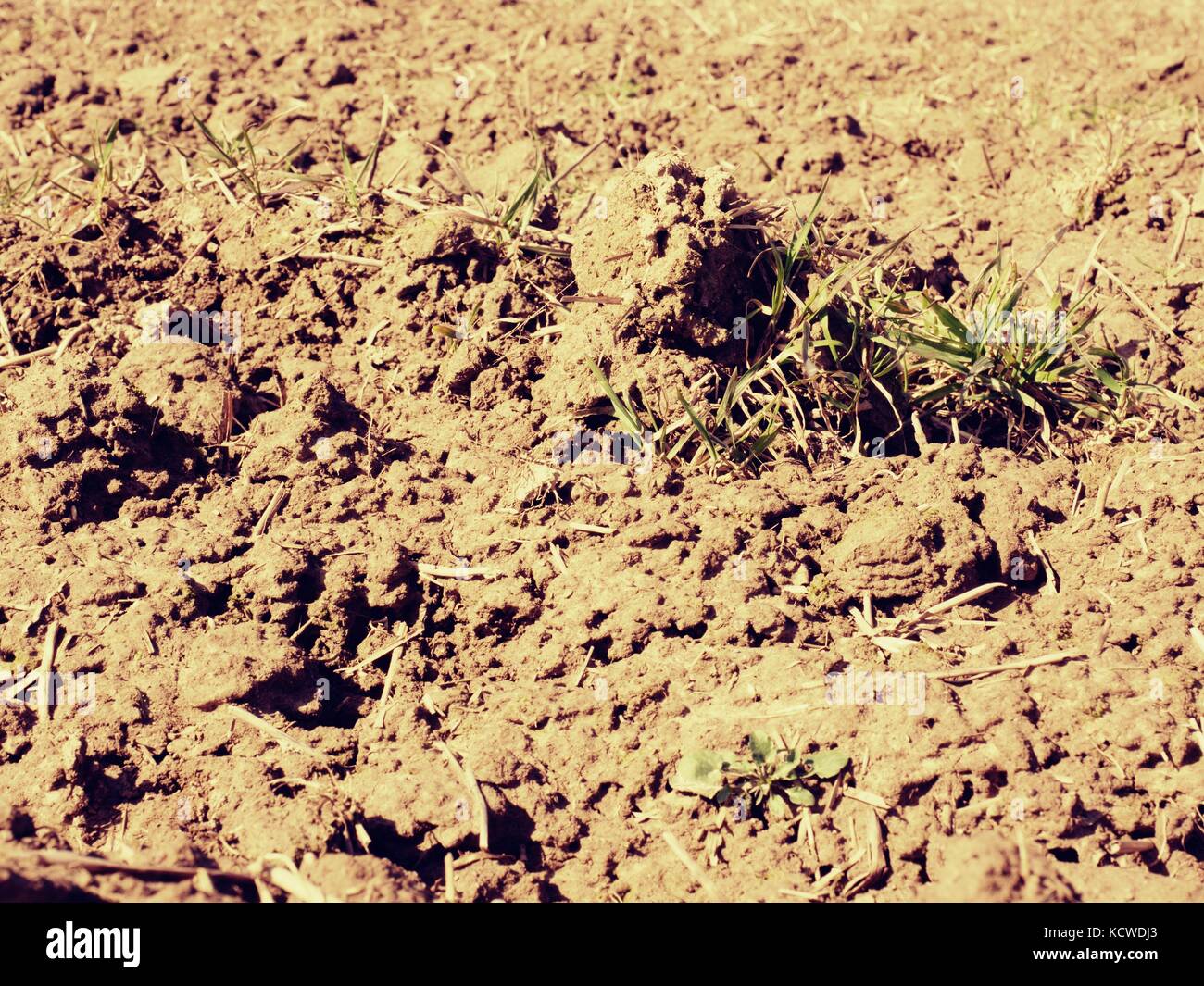Dry dusty clay on the field. Empty plowed field waits for sowing. Dust ...