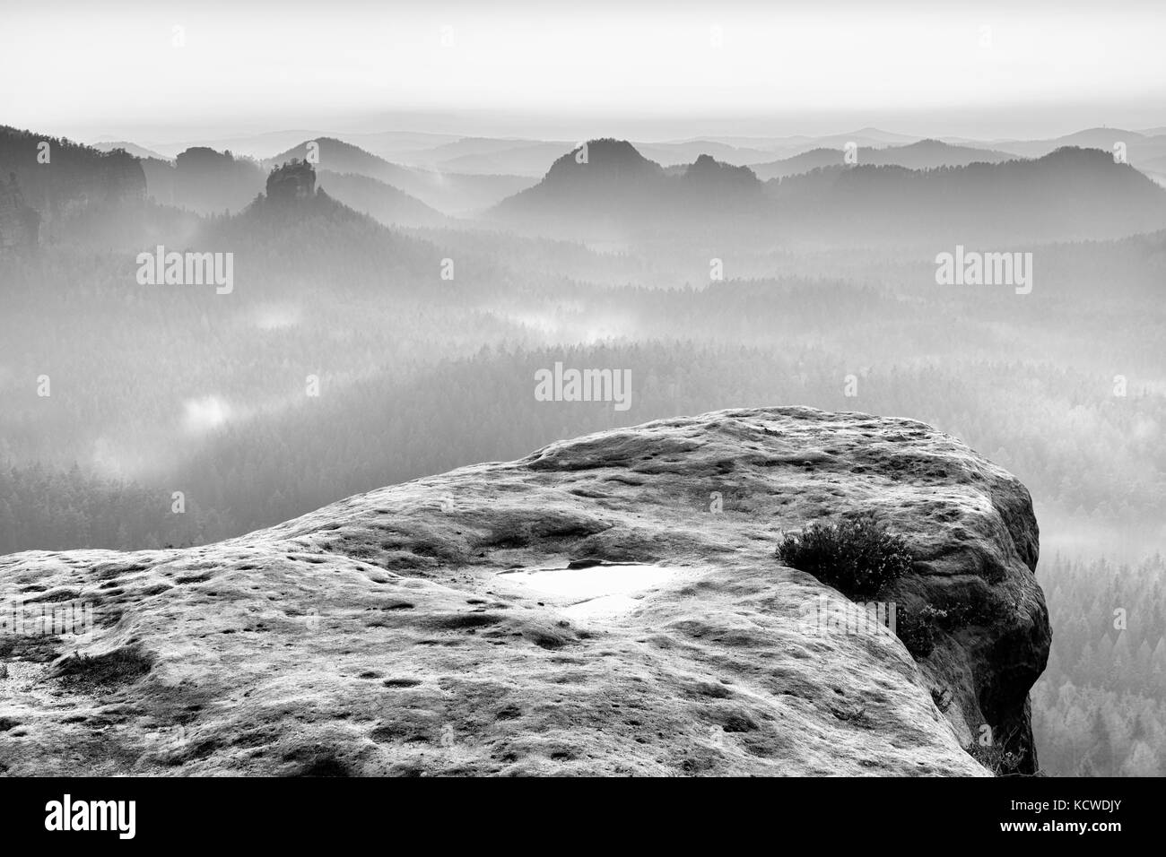 Spring misty morning in forest landscape. Majestic peaks cut lighting ...