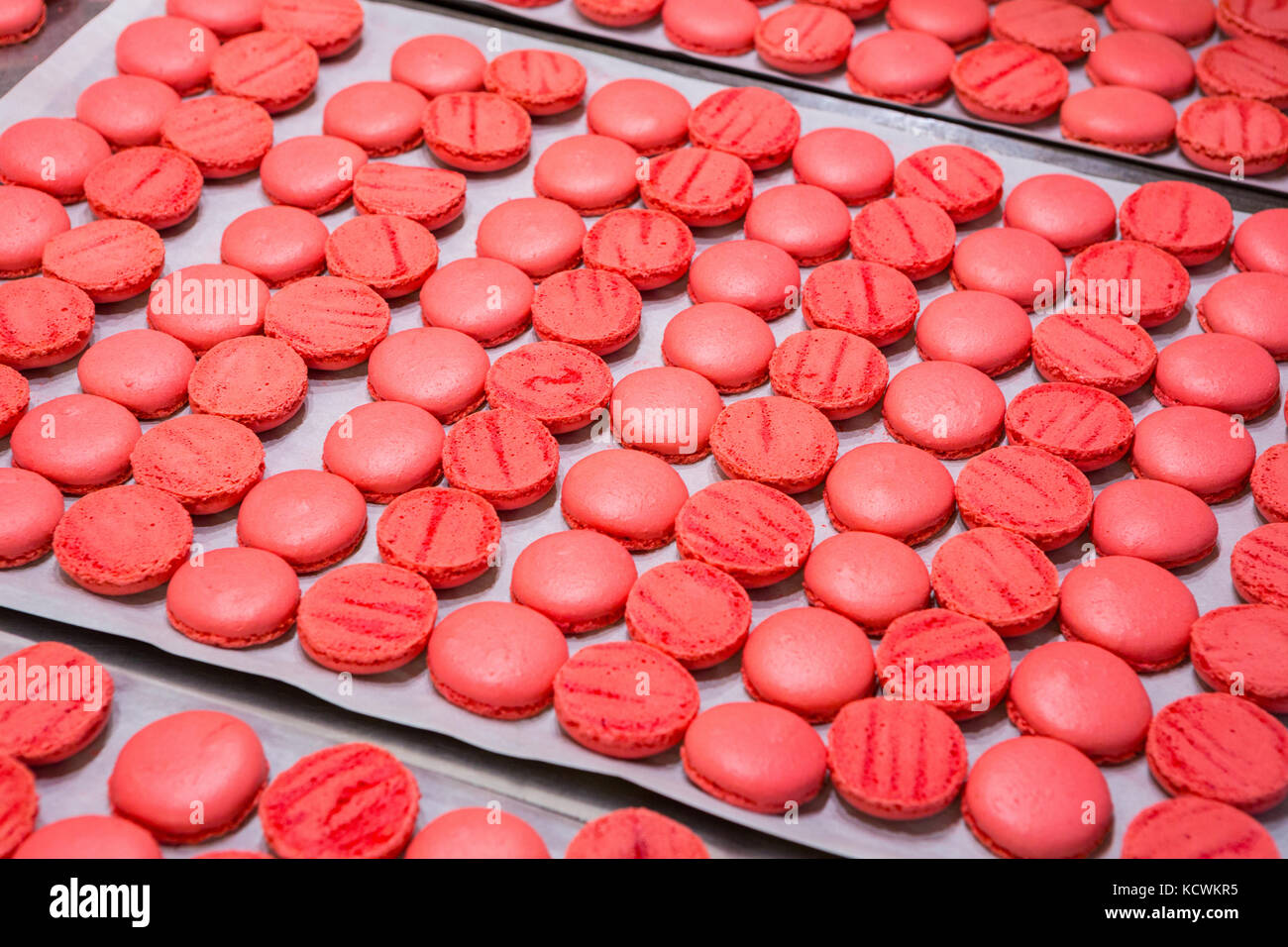 Freshly oven-baked Pink Macarons cooling down in rows on a tray at a ...