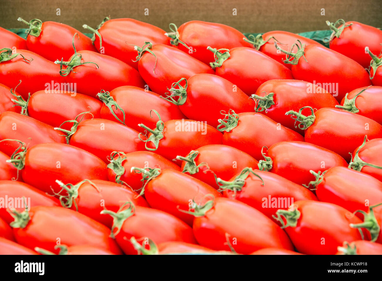 Abstract view on red Roma tomato - Solanum lycopersicum 'Roma' - laying ... Abstract view on red Roma tomato - Solanum lycopersicum 'Roma' - laying ...