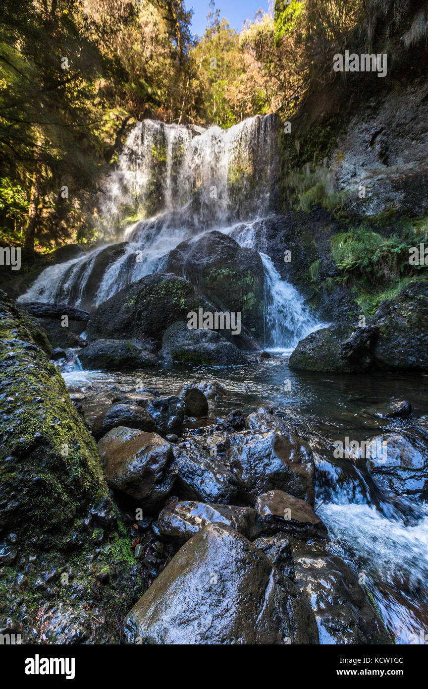 Champagne Falls in the rain forest near Moina in the Cradle valley ...