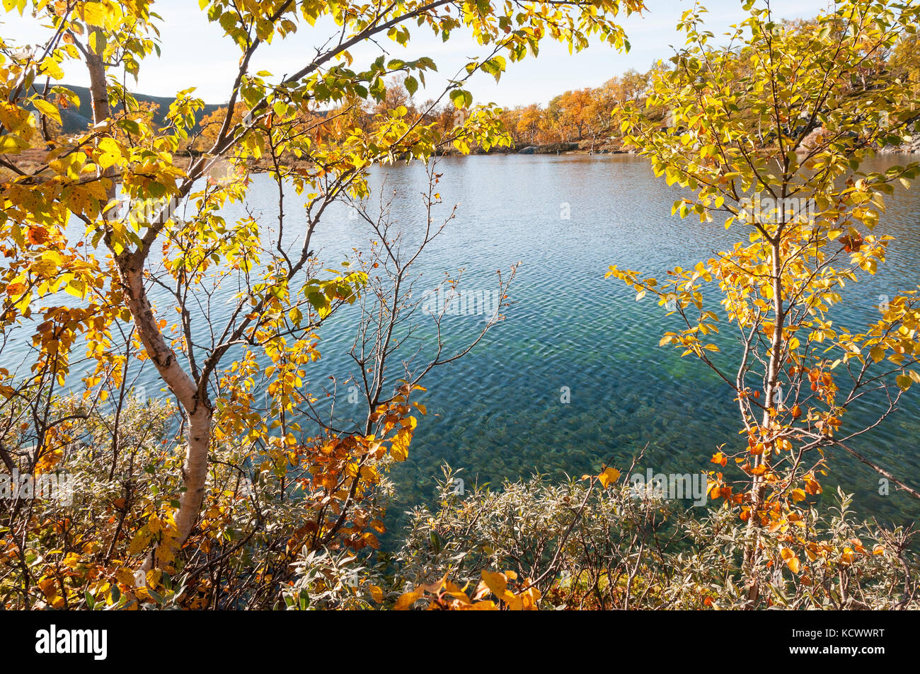 Soft autumn colors hi-res stock photography and images - Alamy