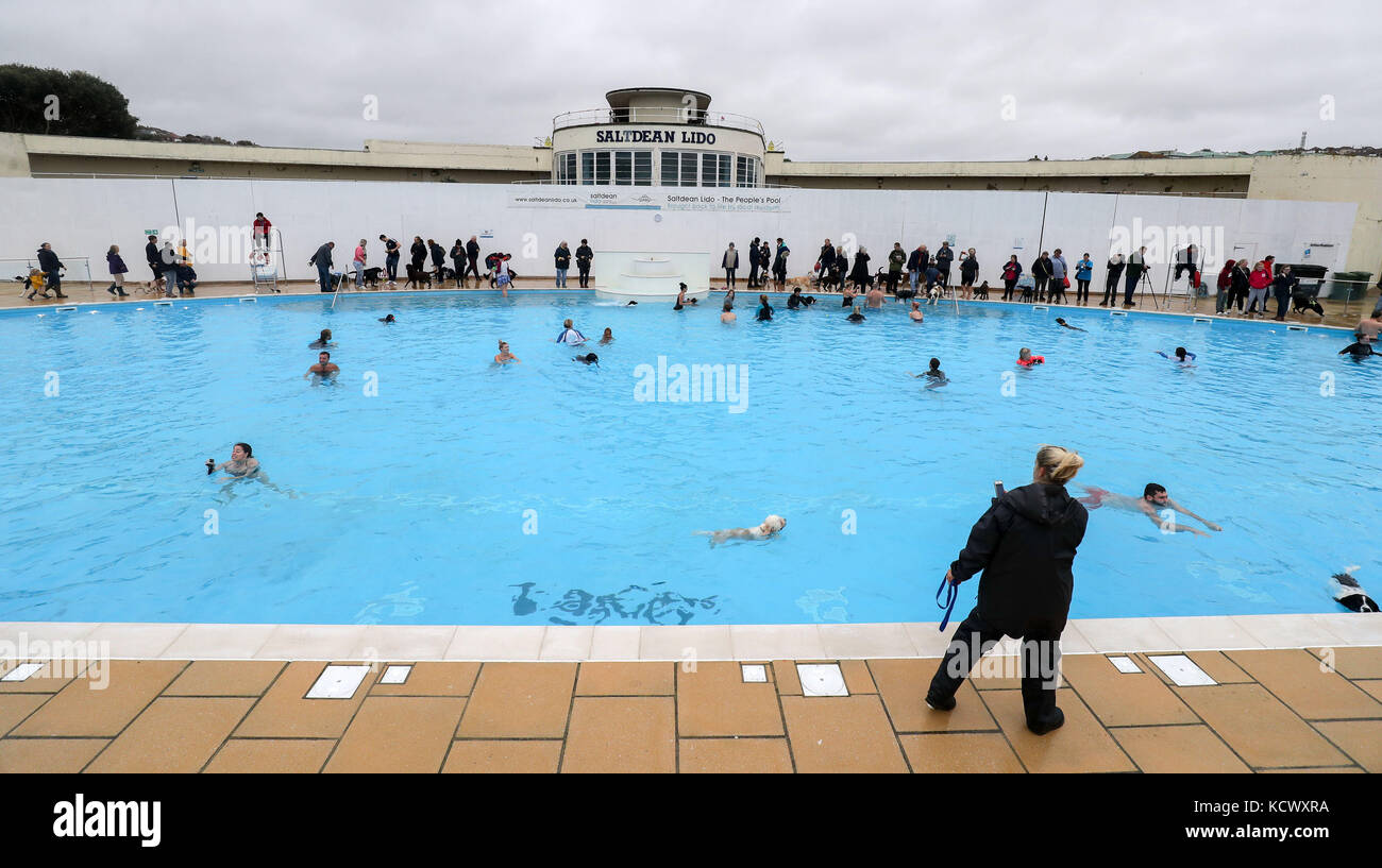 Dogs and their owners swimming at Saltdean Lido in the Oval Park ...