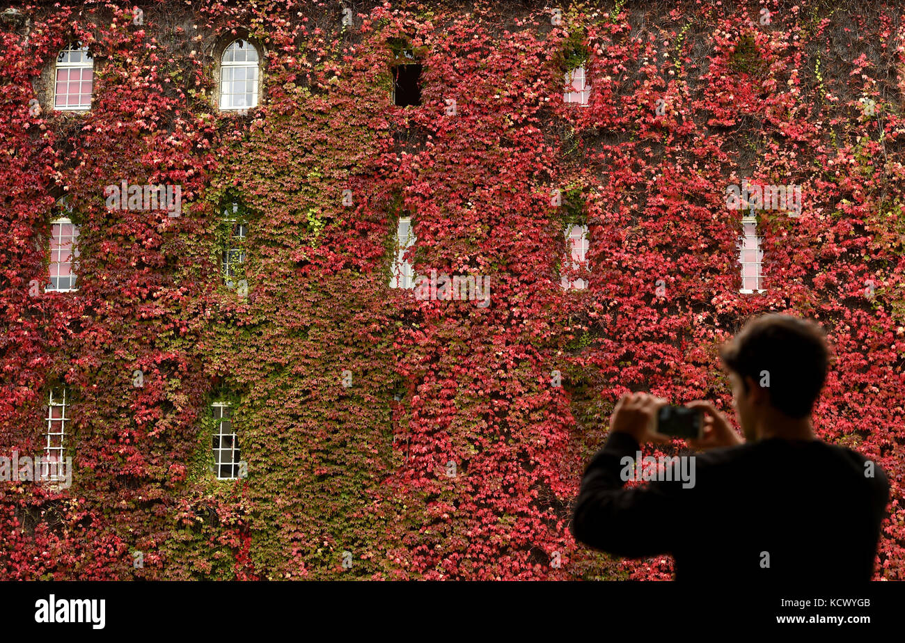A tourist takes a photo of the Virginia creeper on the side of St John ...