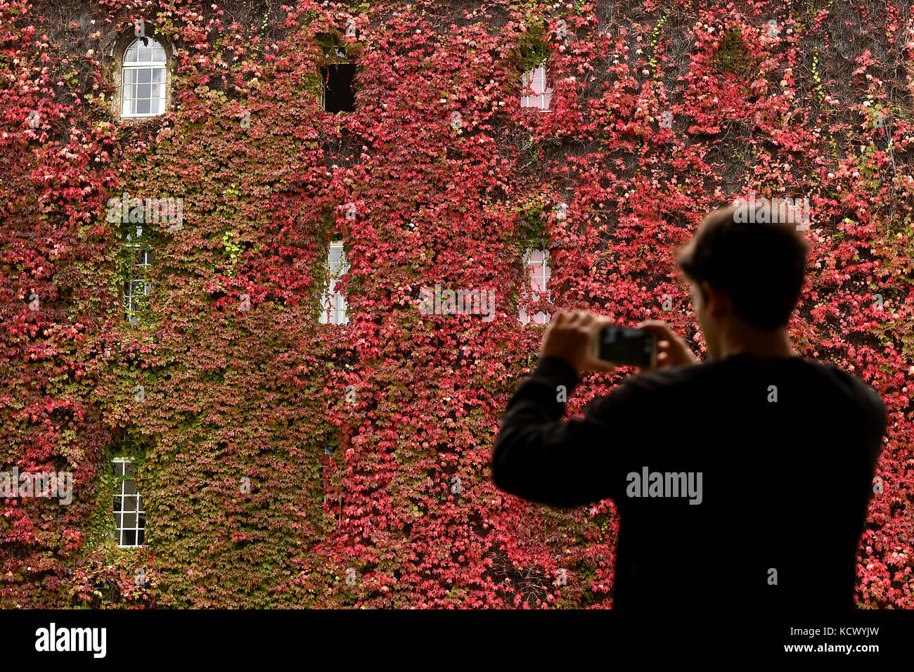 A tourist takes a photo of the Virginia creeper on the side of St John ...