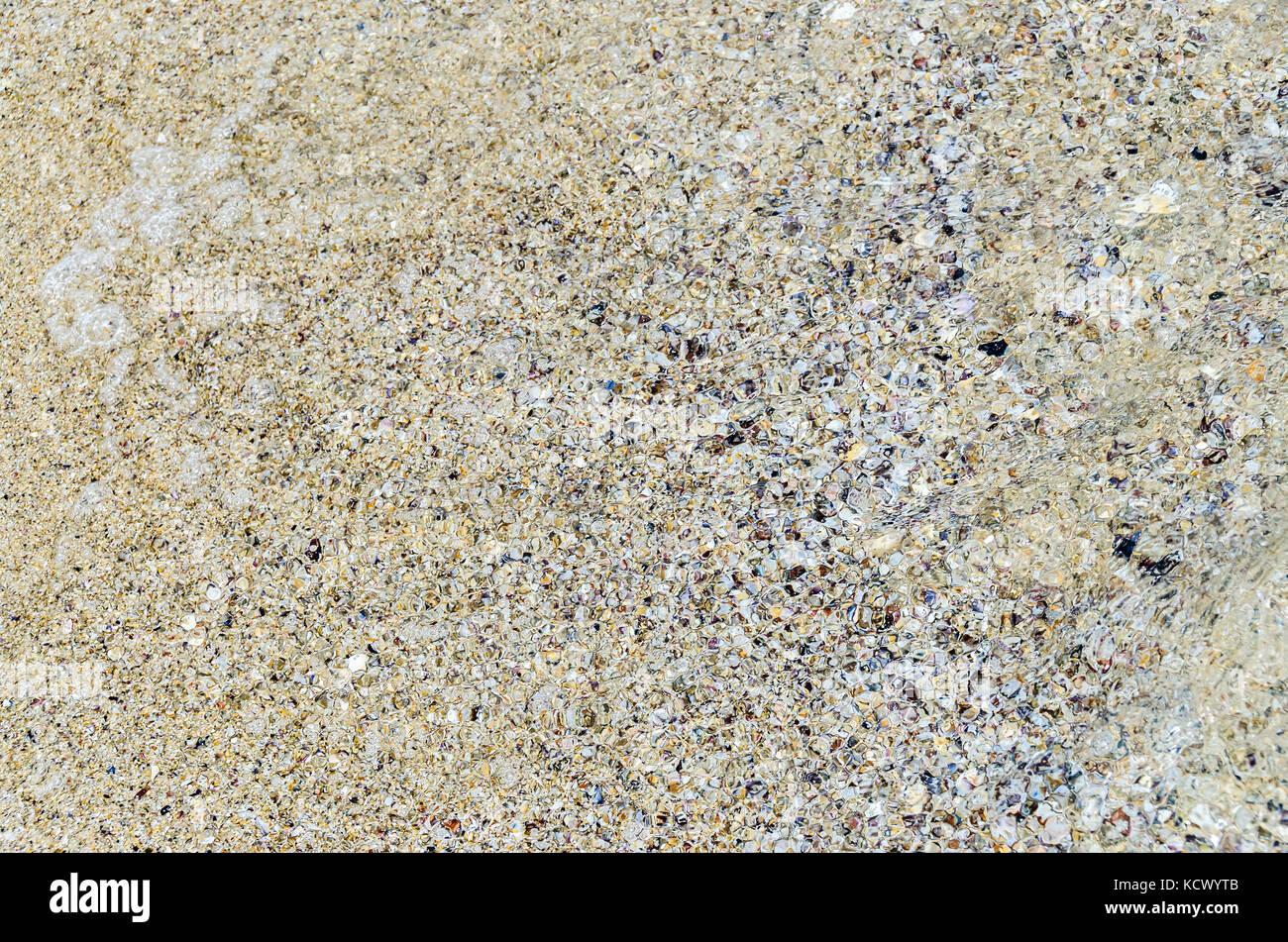 Beach sand with sea water, background texture close up, ocean shore ...