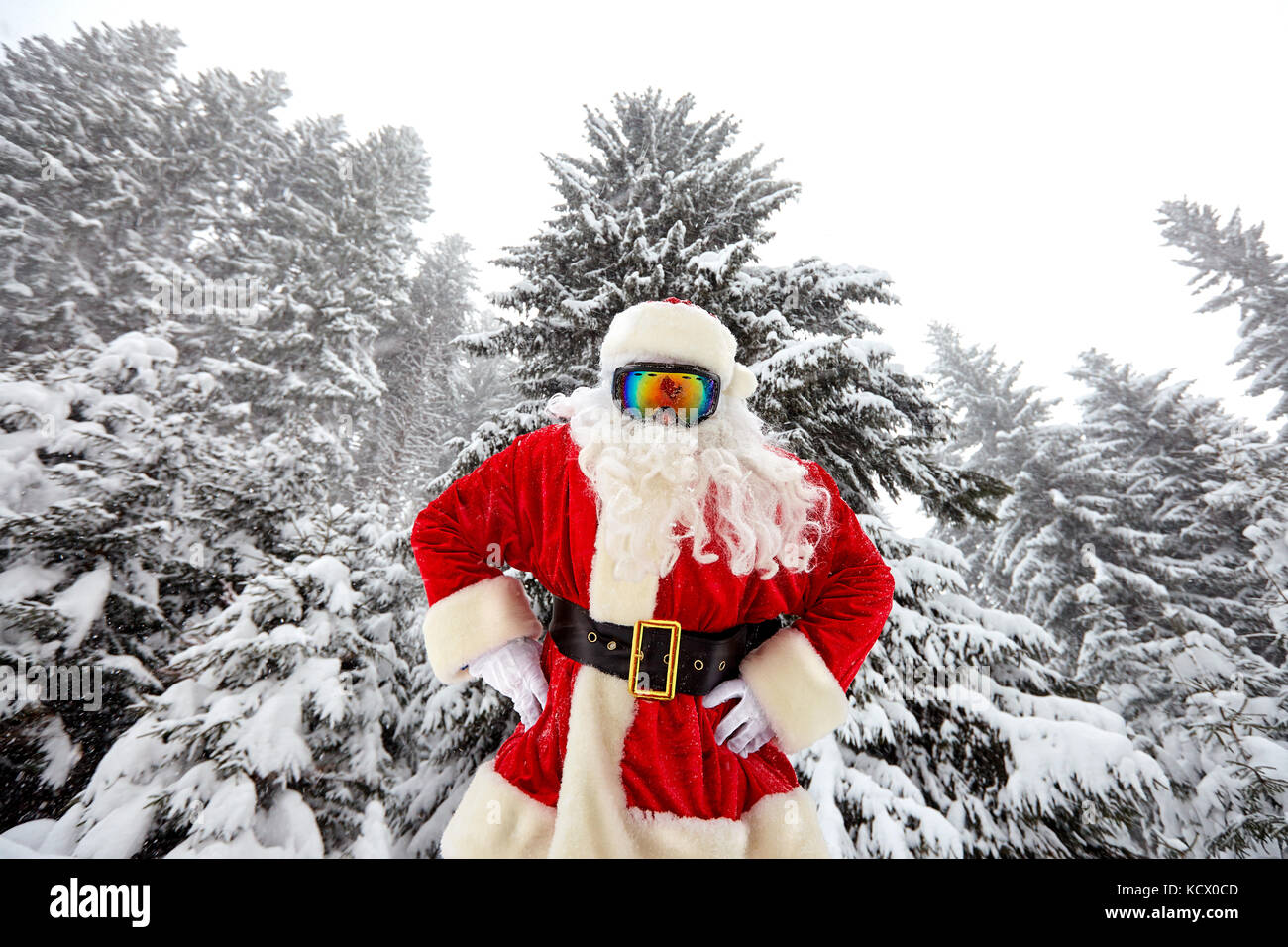 Santa Claus on the background of large Christmas trees in the fo Stock ...
