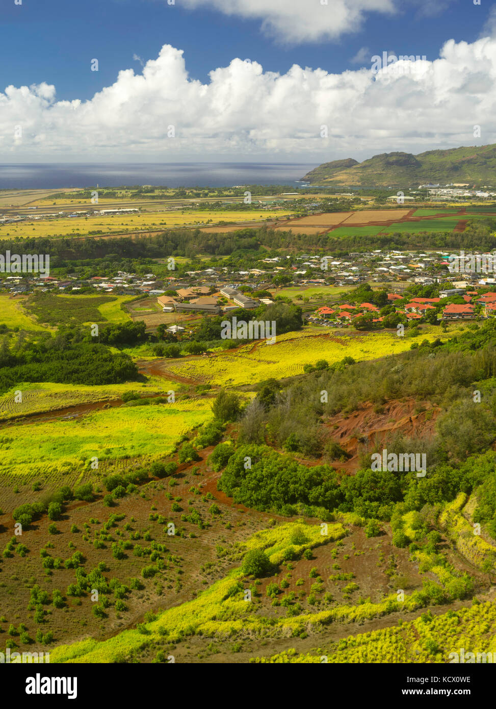 Lihue, hawaii, city hi-res stock photography and images - Alamy