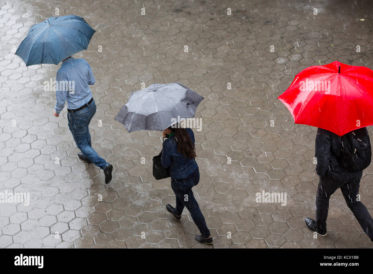 People run in the rainy weather with their umbrellas. Raining like cats ...