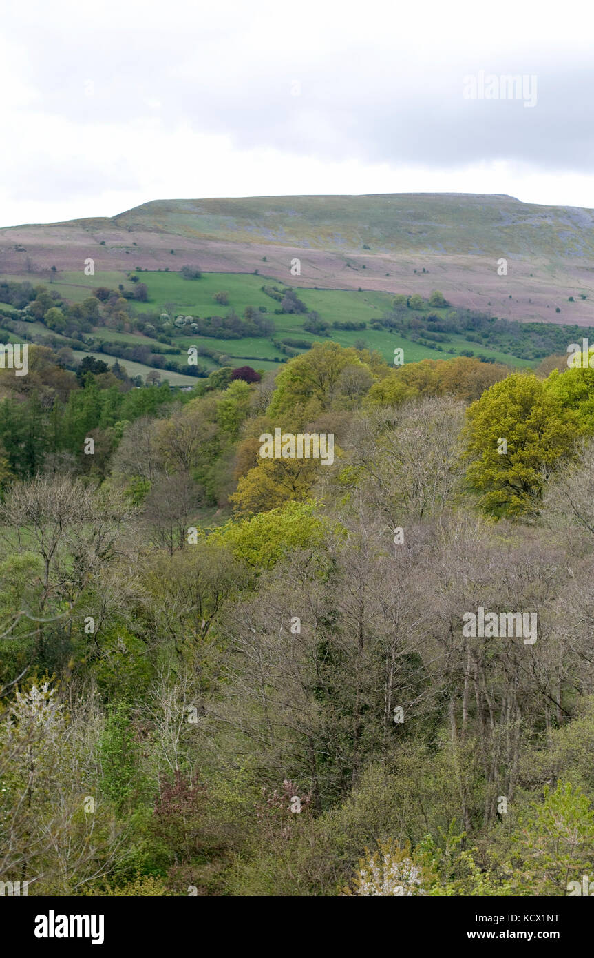 Sugar Loaf Mountain Brecon Beacons Wales Stock Photo - Alamy