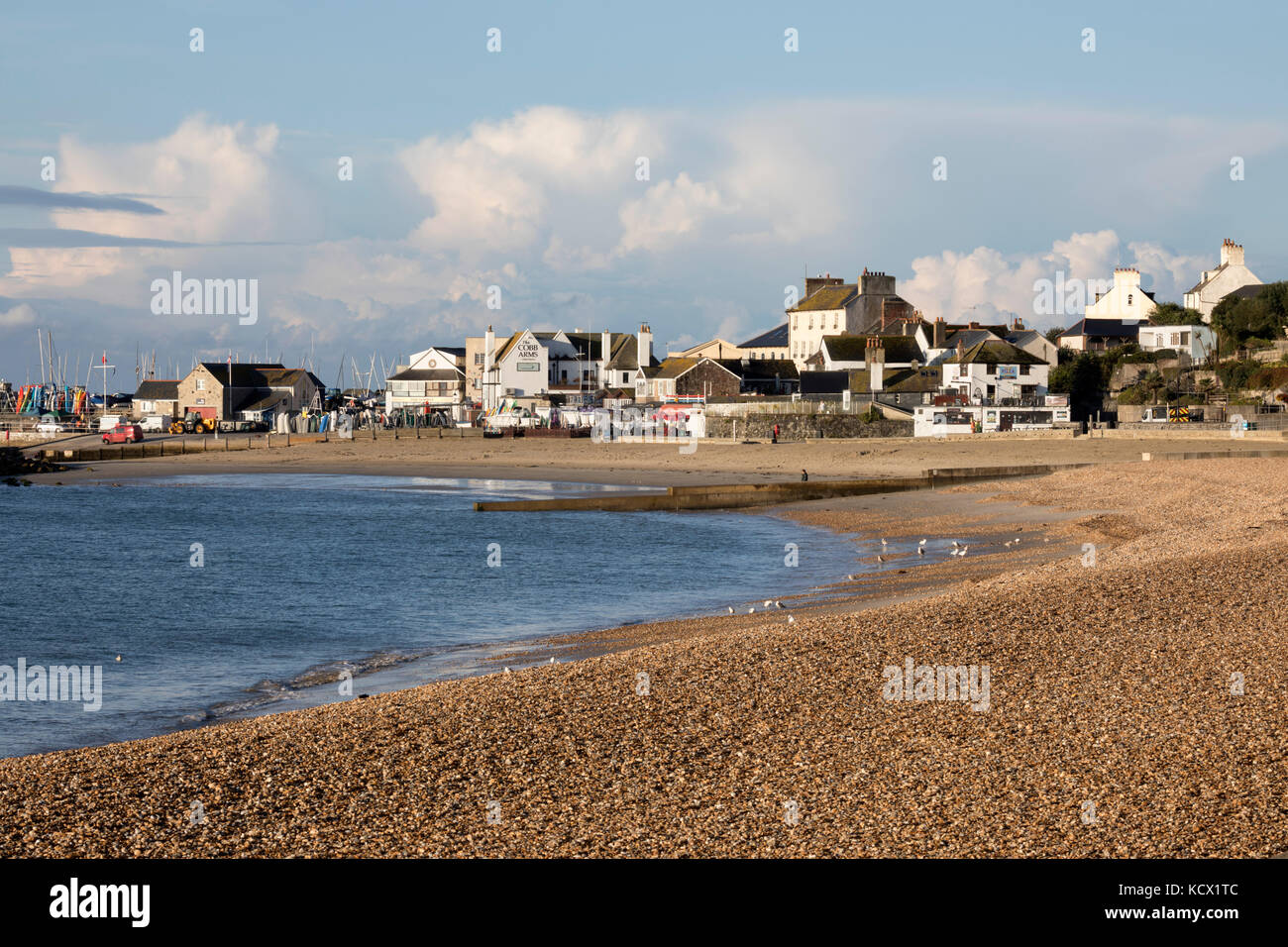Shingle beach and the old town, Lyme Regis, Dorset, England, United ...