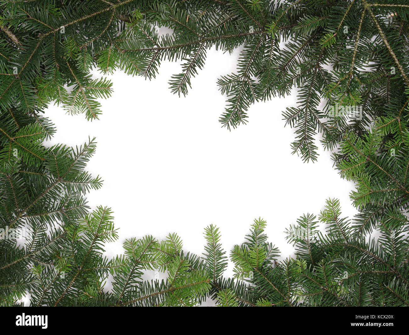 Christmas framework made of fir branches with white copy space Stock ...