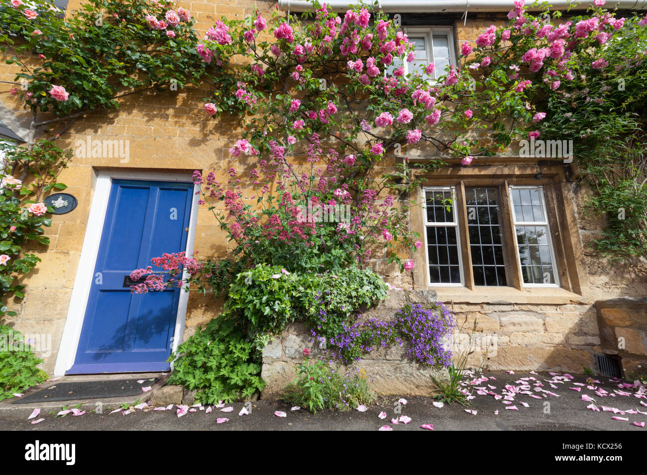 Rose covered frontage of Cotswold stone cottage along High Street ...