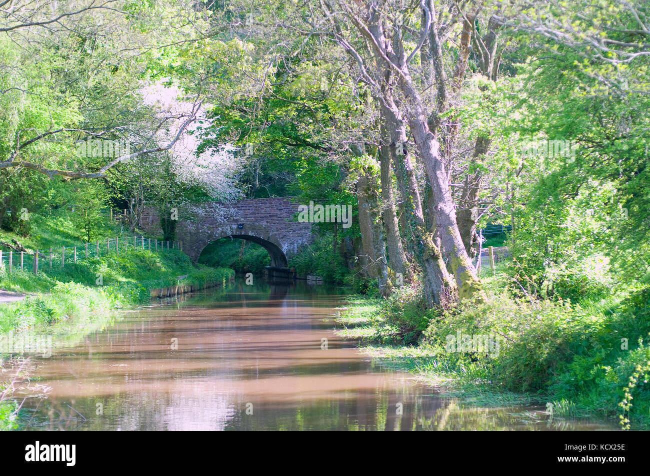 River & bridge in the Brecon Beacons in spring Stock Photo - Alamy