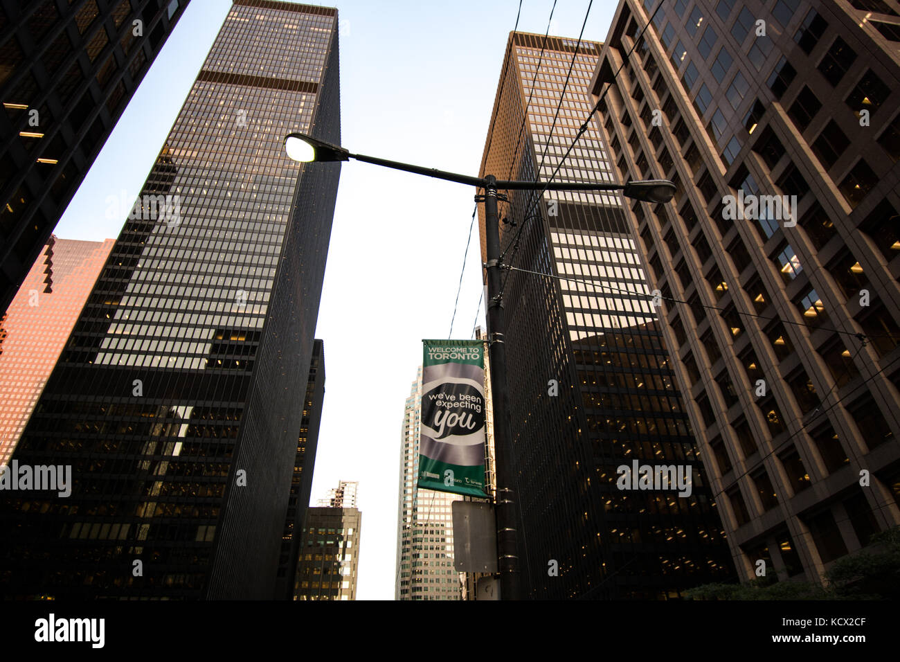 Toronto high rise buildings tall skyscrapers large high up advert ...