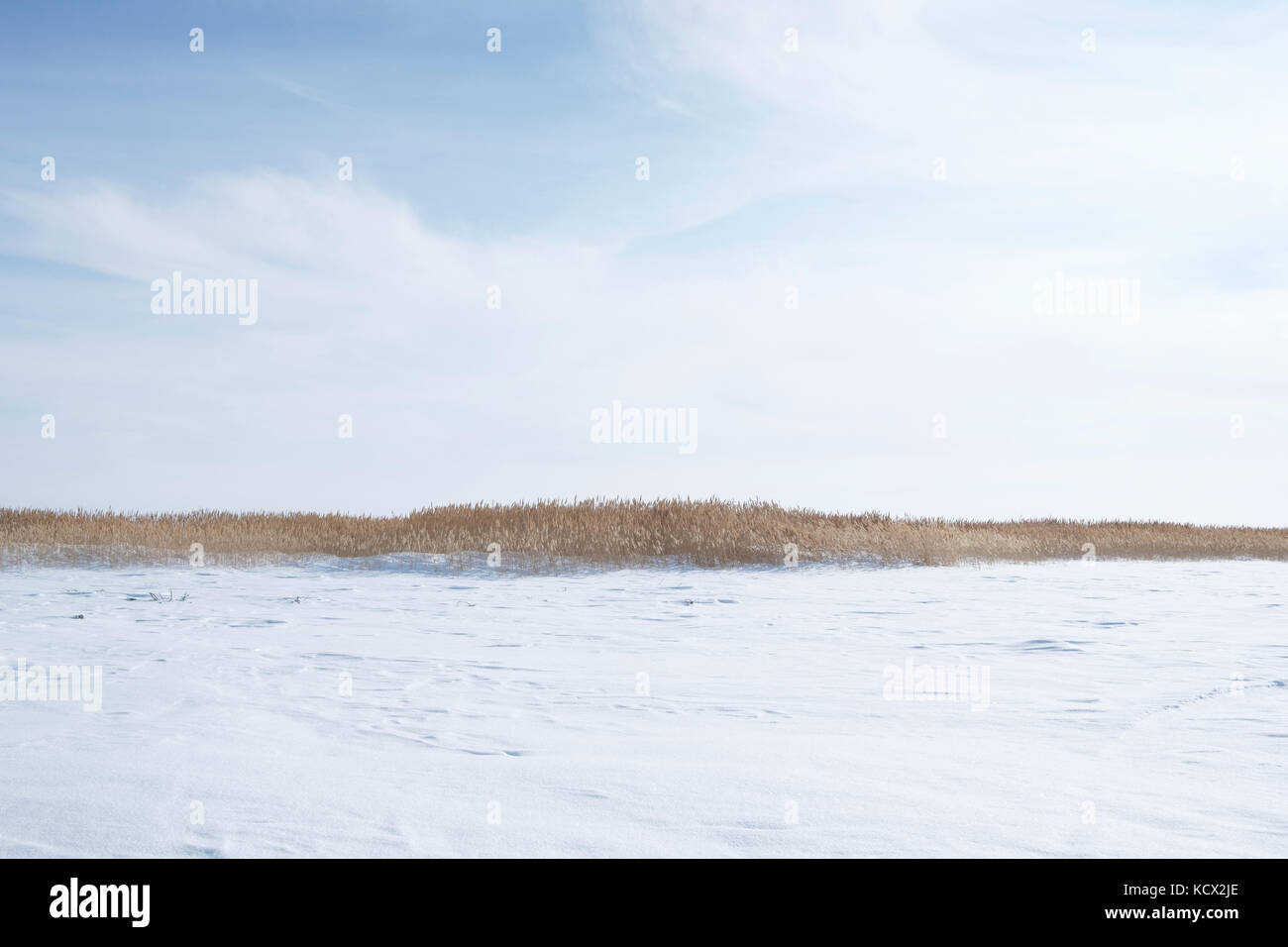 Story about the revival of the Aral sea in Winter. Check on my website ...