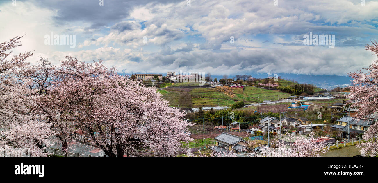A spring panorama of Katsunuma in Yamanashi, Japan. With Cherry ...