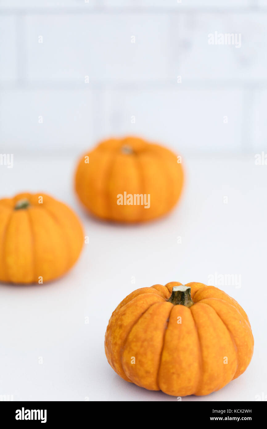 Autumn mini pumpkins in a kitchen Stock Photo - Alamy