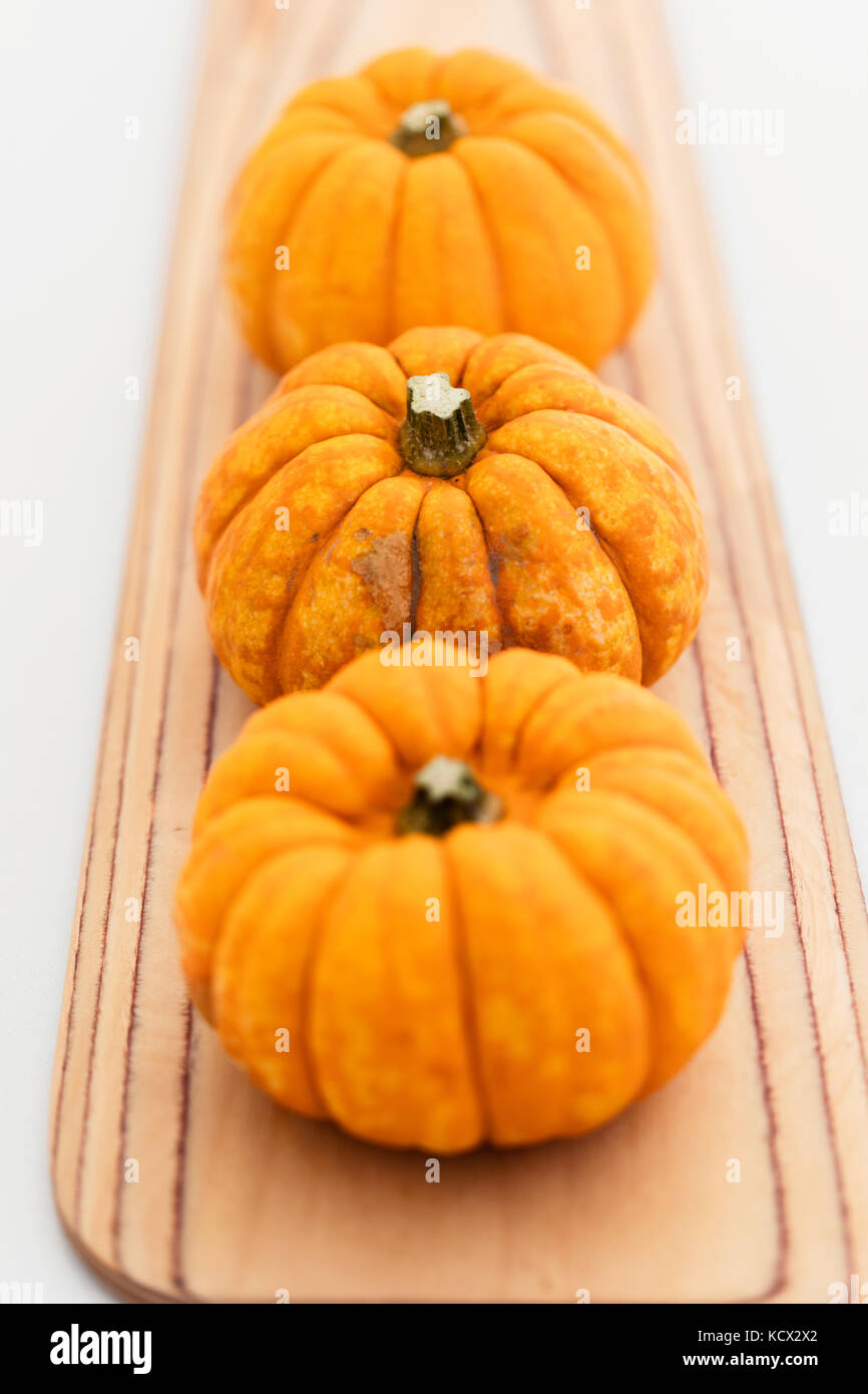 Autumn mini pumpkins in a kitchen Stock Photo - Alamy