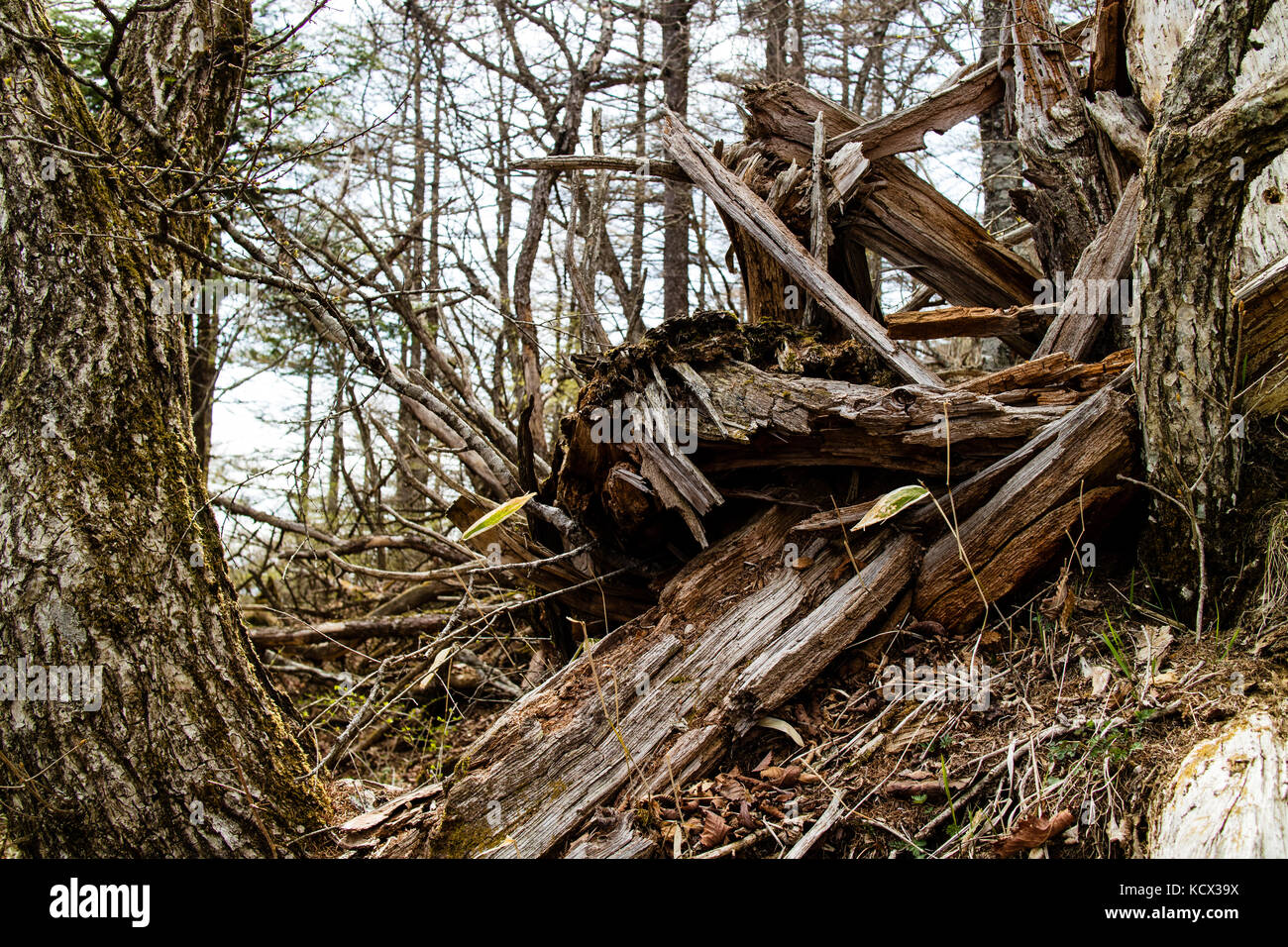 Earthquake Destruction Stock Photos & Earthquake Destruction Stock ...