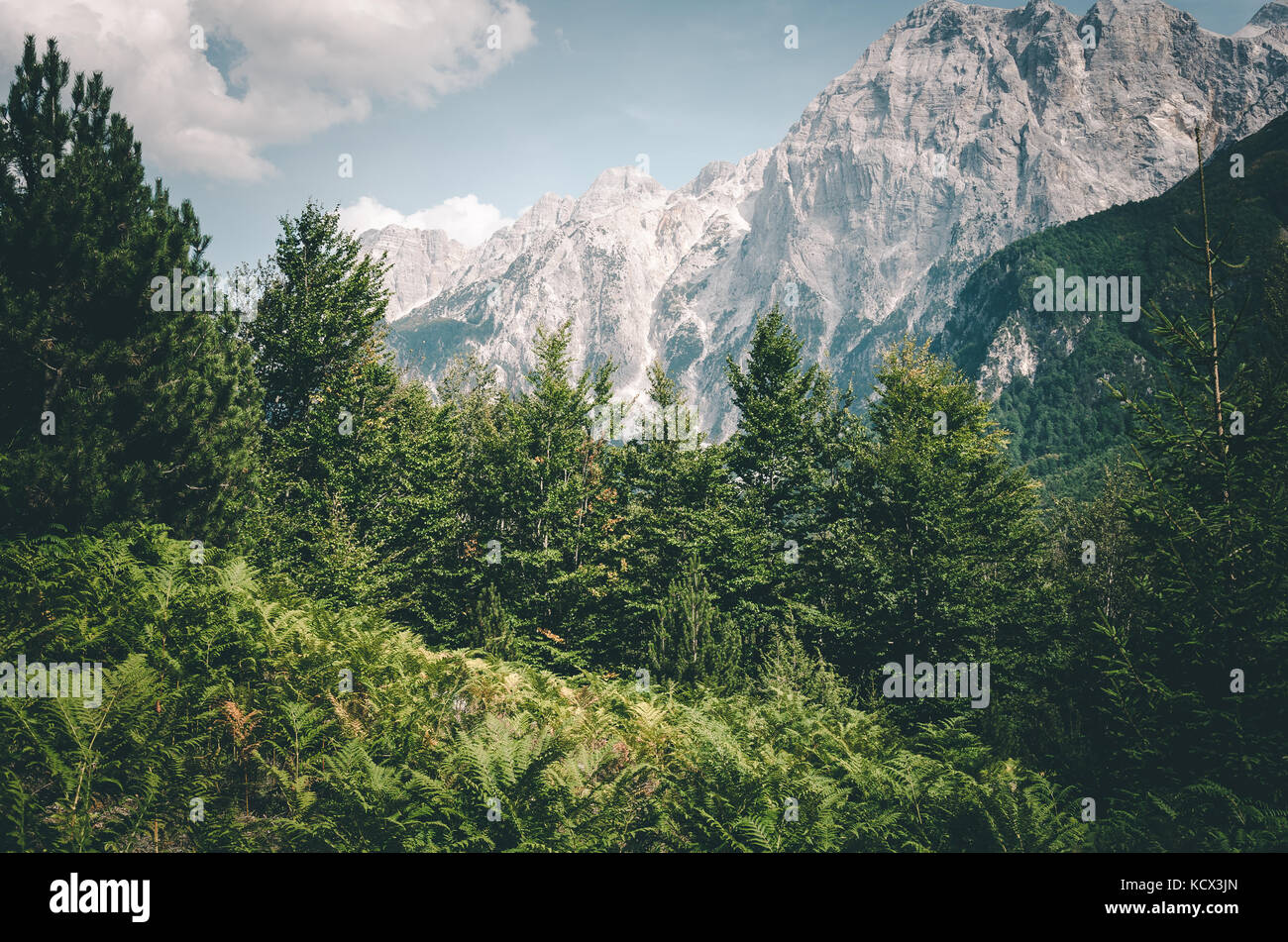 Valbona valley national park hi-res stock photography and images - Alamy