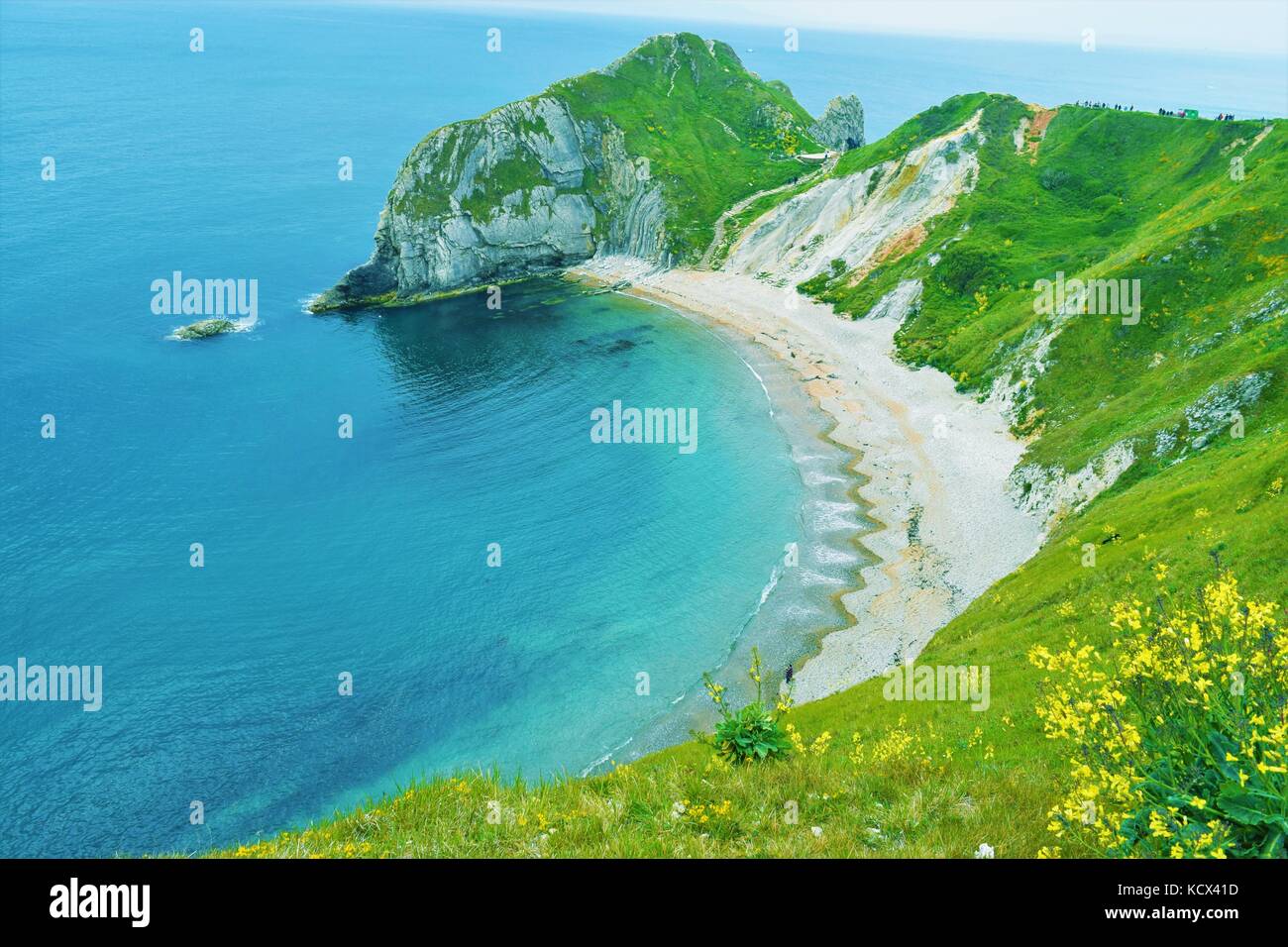 Durdle door spring hi-res stock photography and images - Alamy