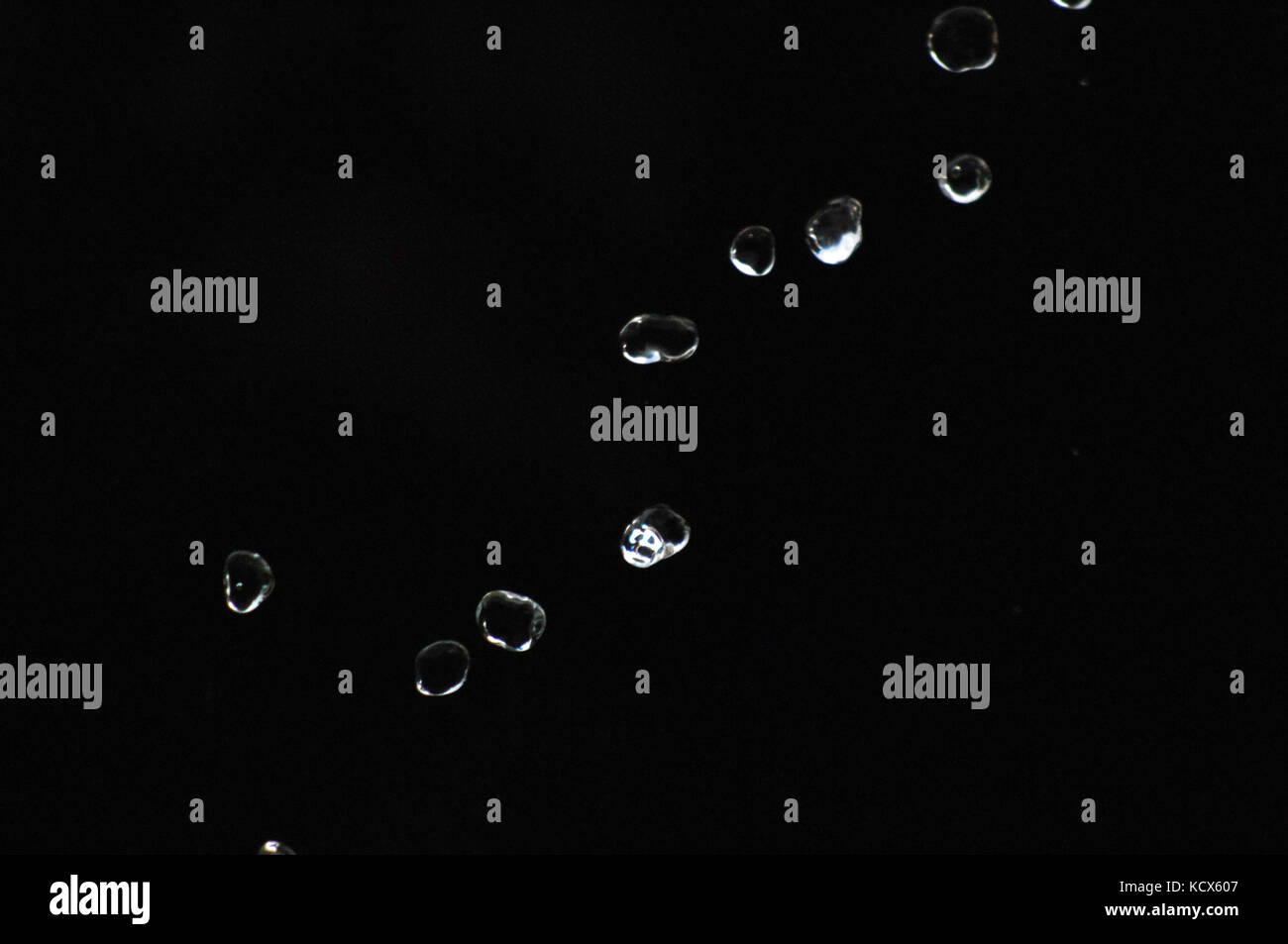 picture of a Water drops levitating in the air in dark. Splashing water ...