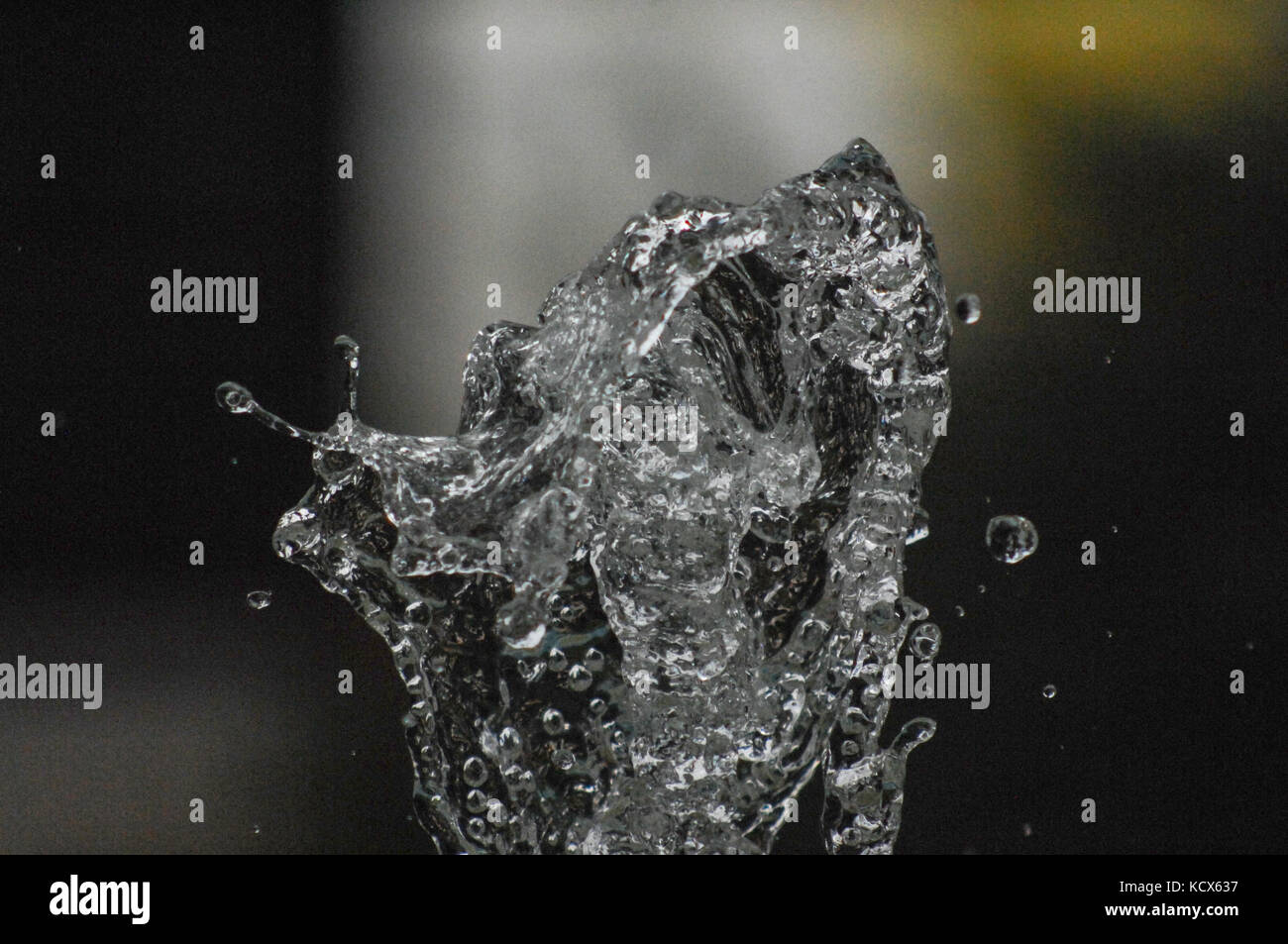 picture of a Water drops levitating in the air in dark. Splashing water ...