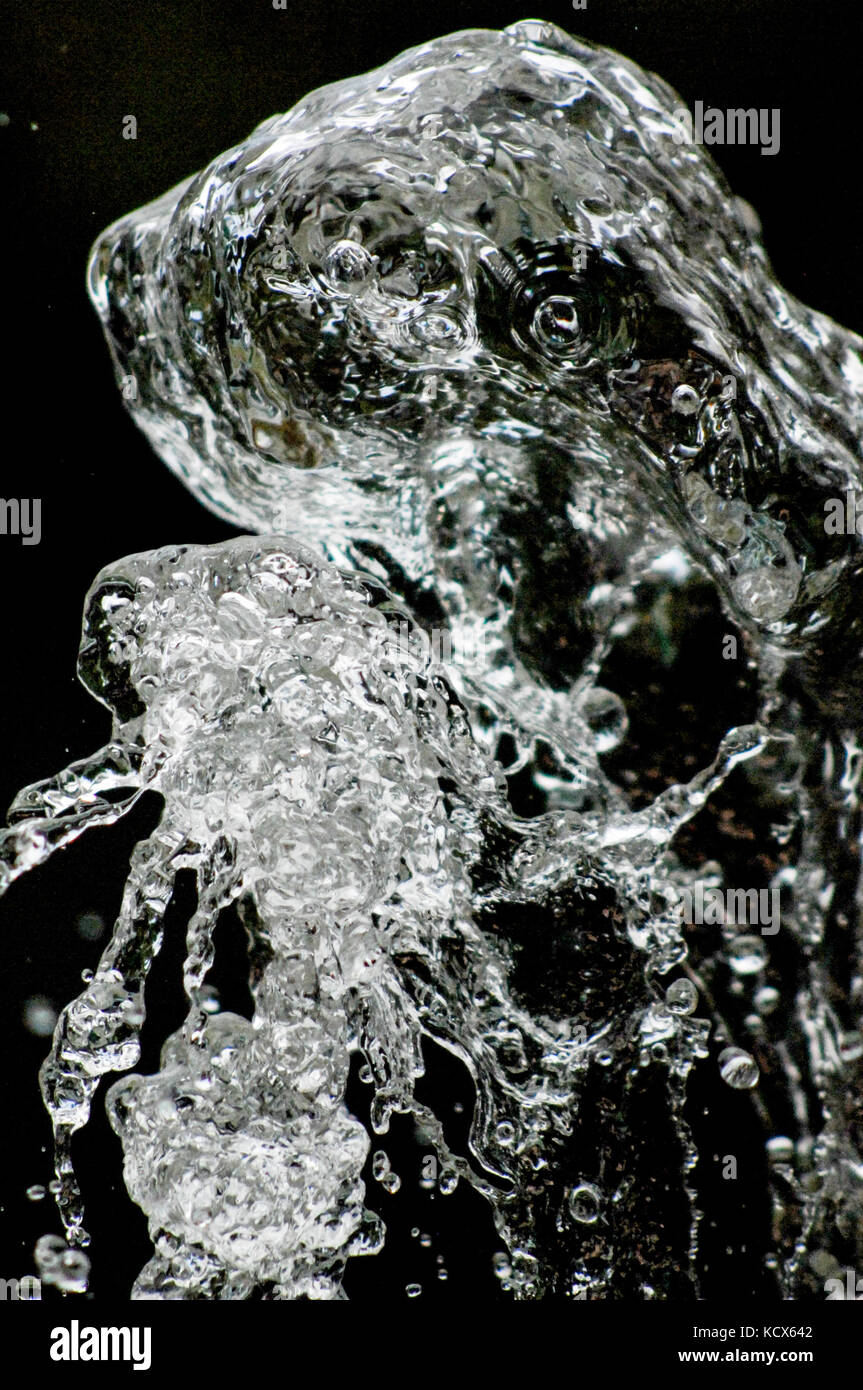 picture of a Water drops levitating in the air in dark. Splashing water ...