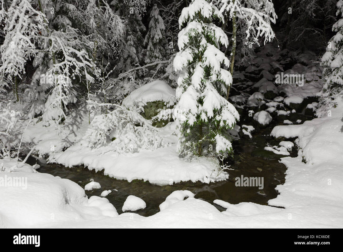 Small stream in snow forest Stock Photo - Alamy