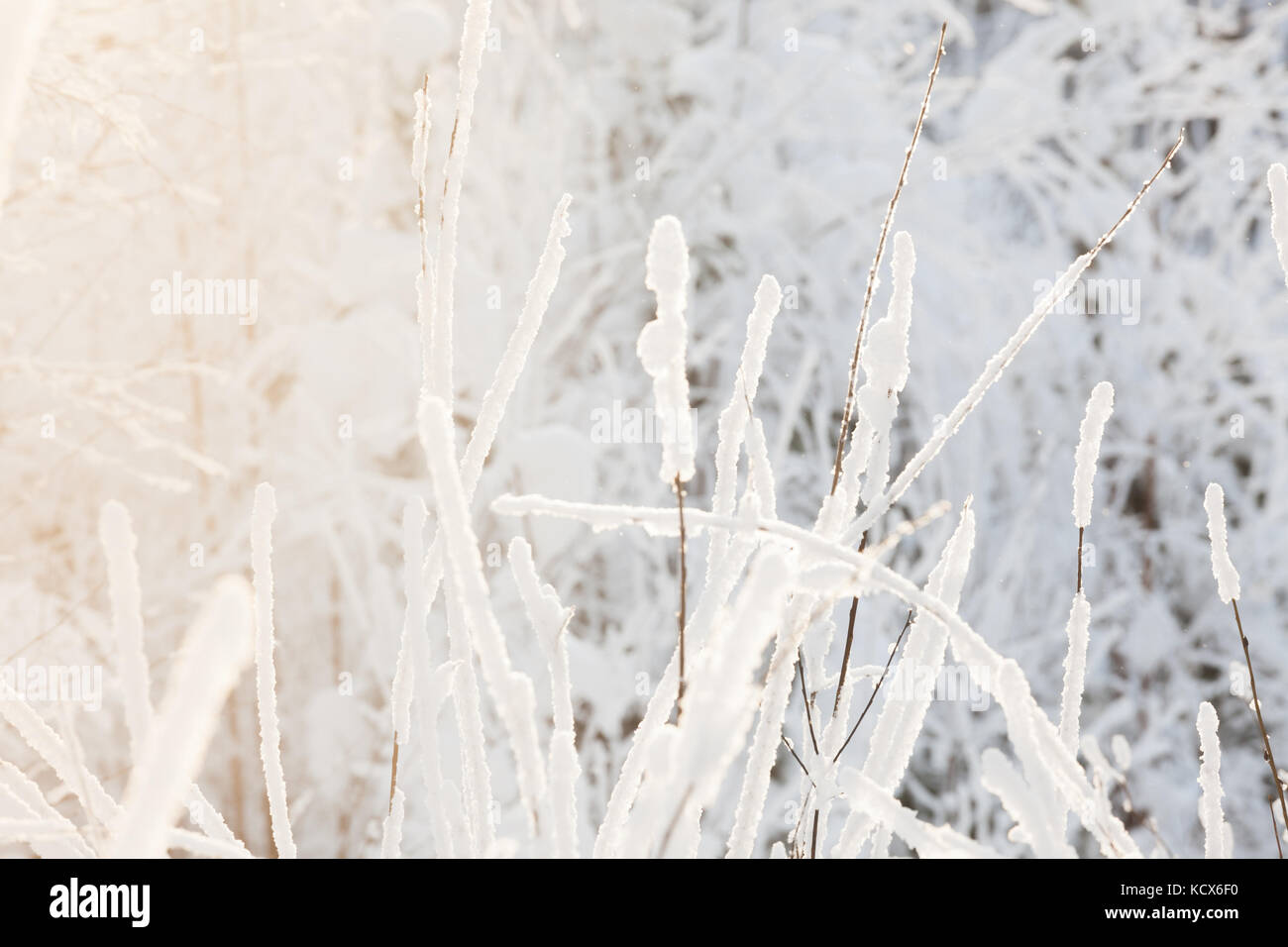 Snowdrift sticks hi-res stock photography and images - Alamy