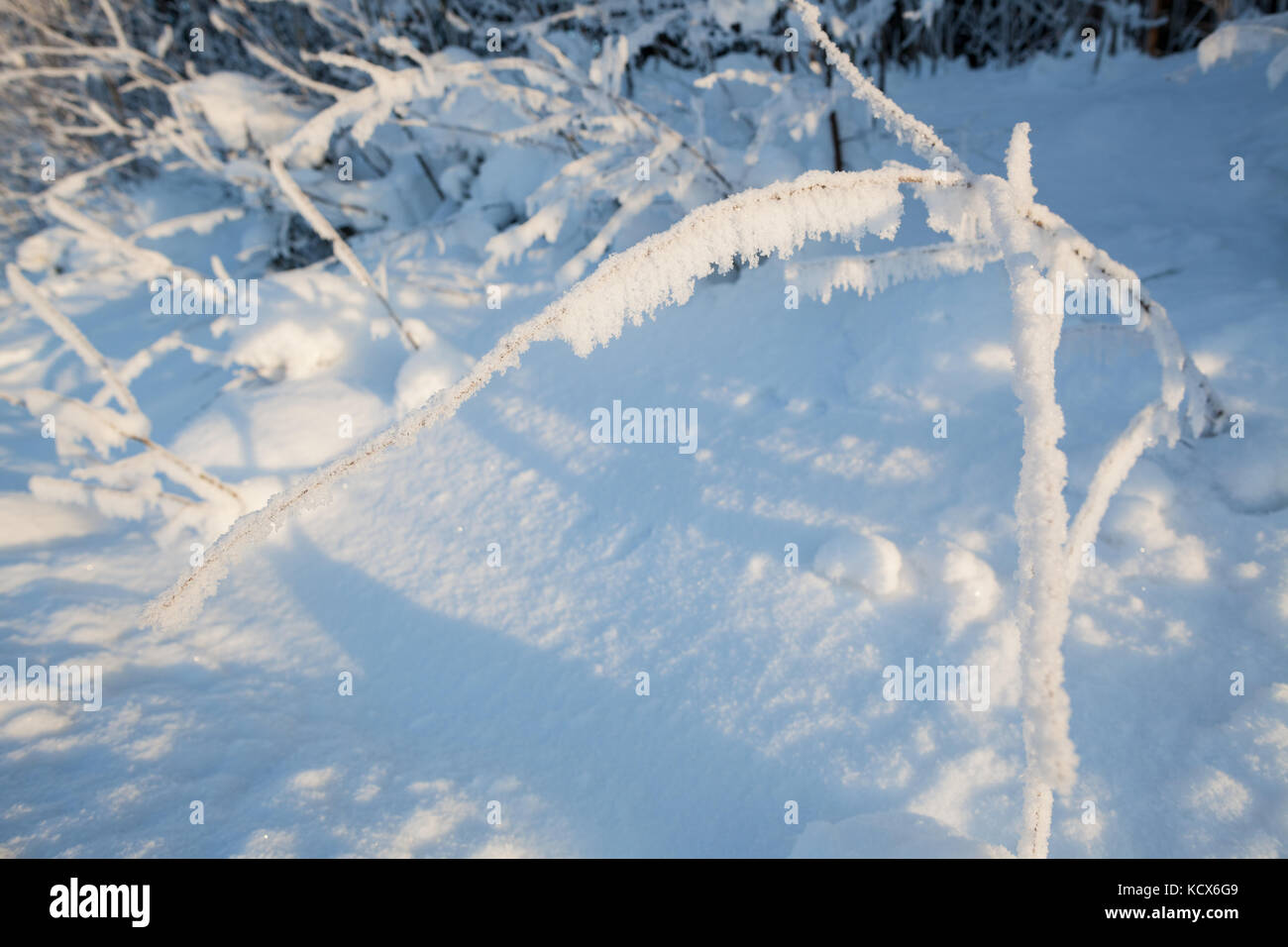 Snowdrift sticks hi-res stock photography and images - Alamy
