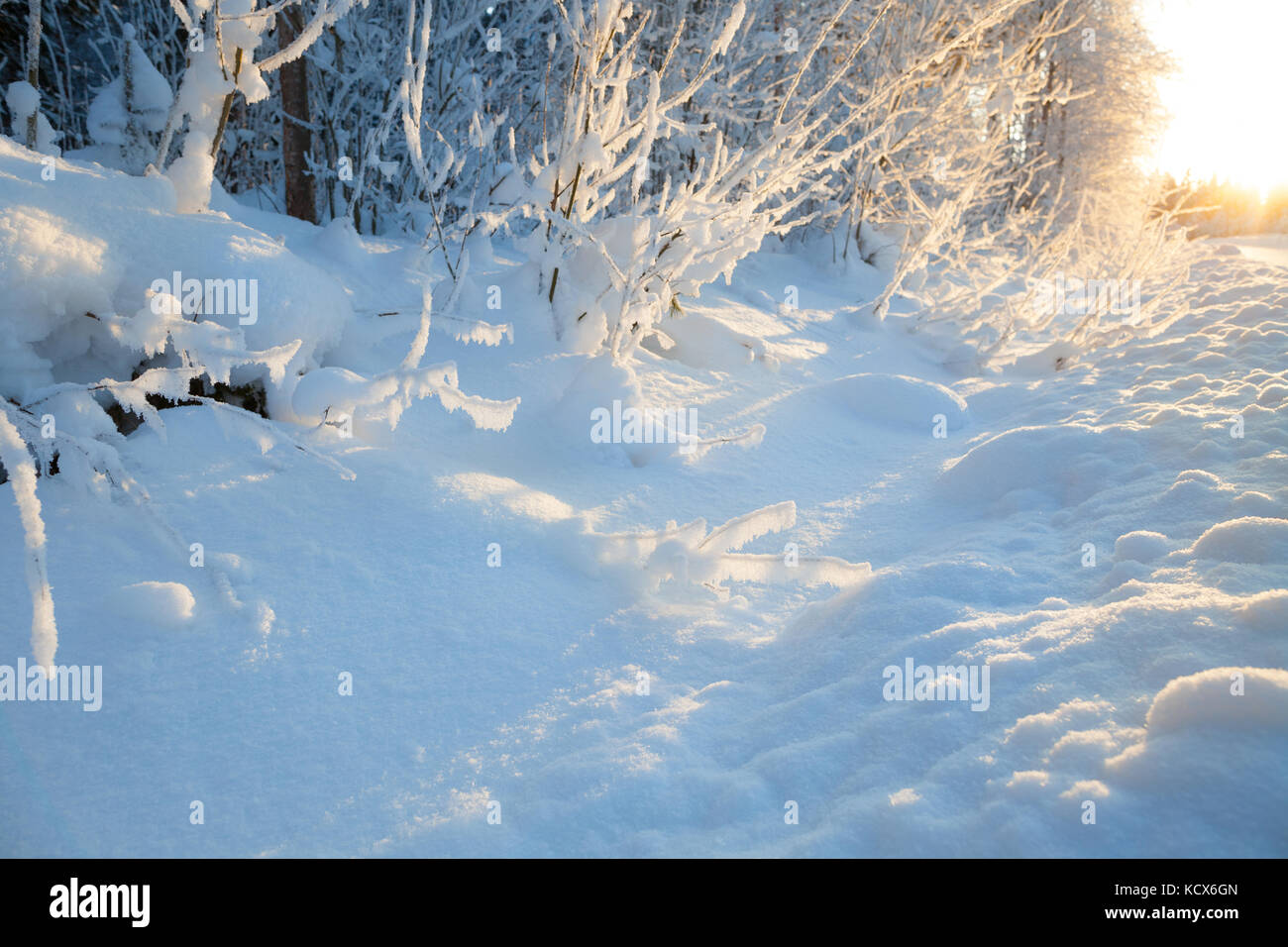 Snowdrift sticks hi-res stock photography and images - Alamy