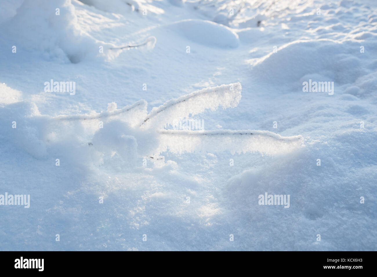 Snowdrift sticks hi-res stock photography and images - Alamy